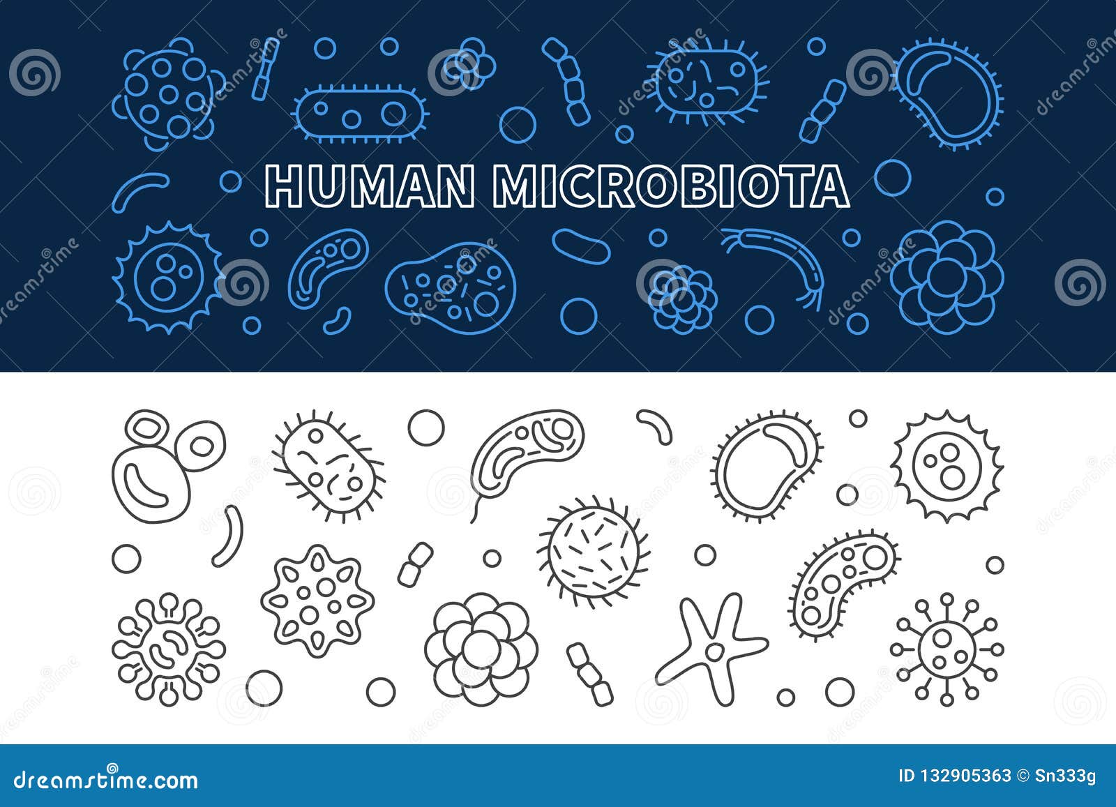 Human Microbiota Outline Banners Set. Vector Illustration Stock Vector ...