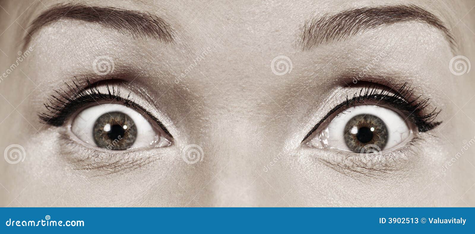 Human mimicry of wonder stock image. Image of staring - 3902513