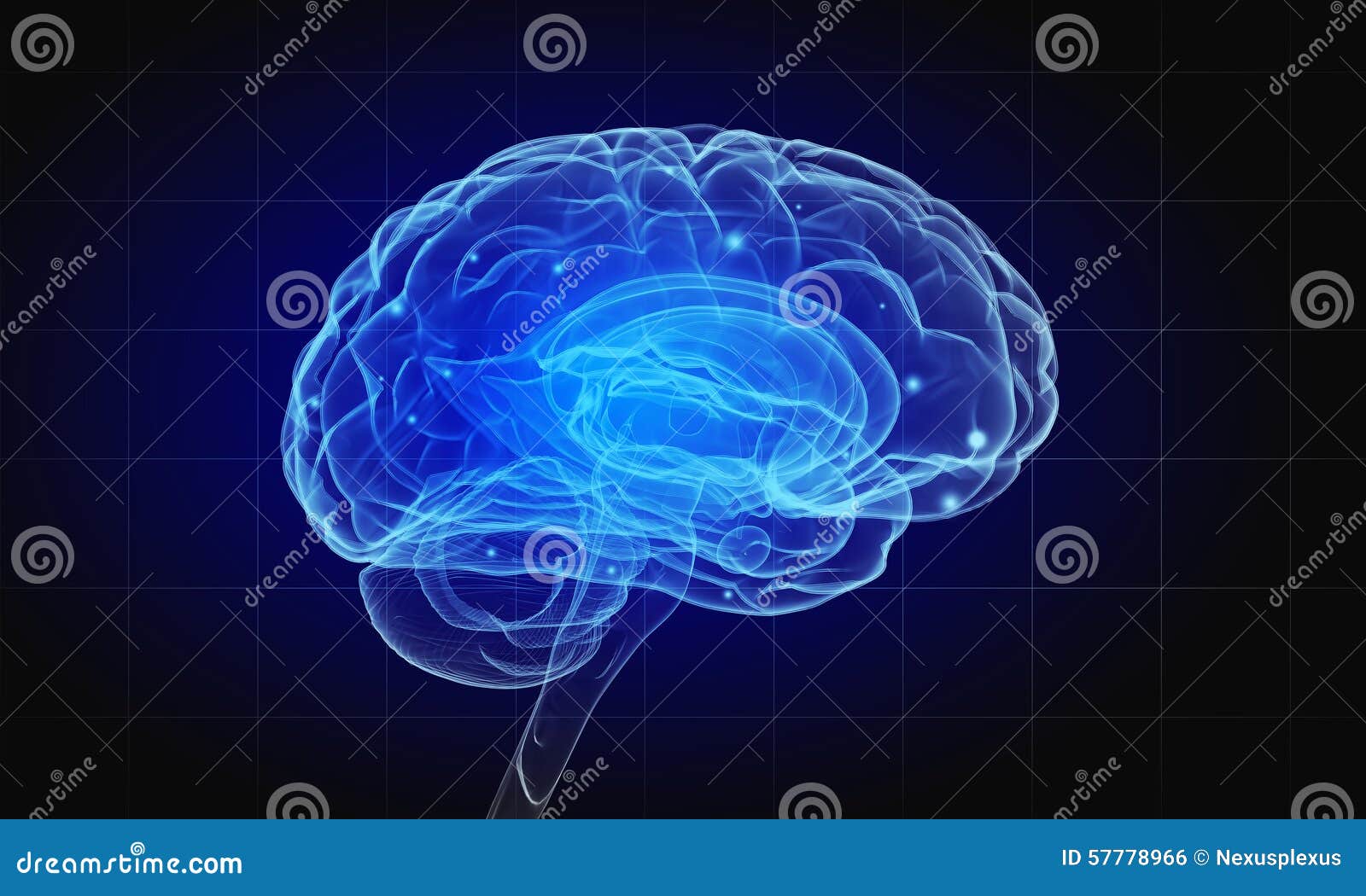 Human mind stock illustration. Illustration of analysis - 57778966