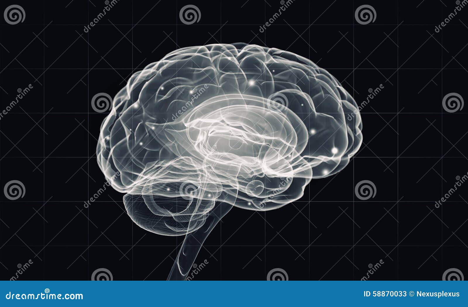Human mind stock image. Image of internal, science, intellect - 58870033