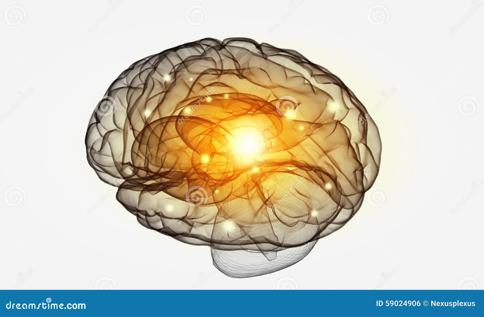 Human mind stock photo. Image of central, intellectual - 59024906