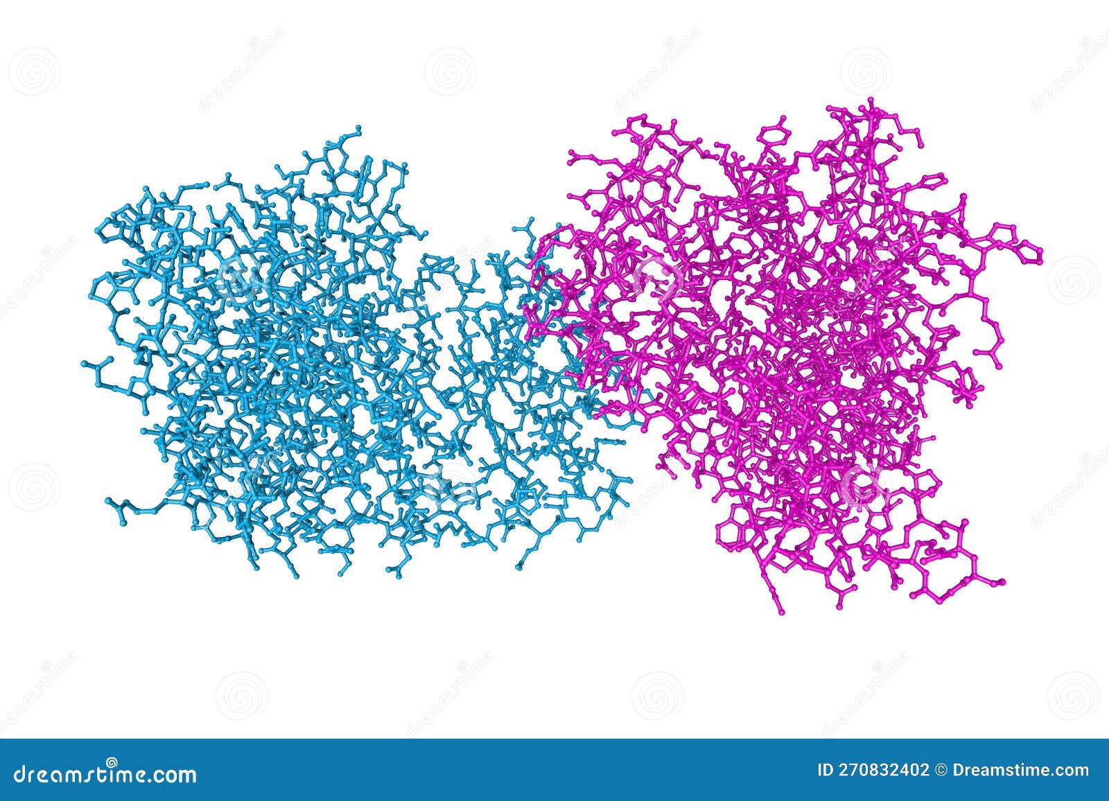 Human Mitochondrial Malonyltransferase. Rendering with Differently ...