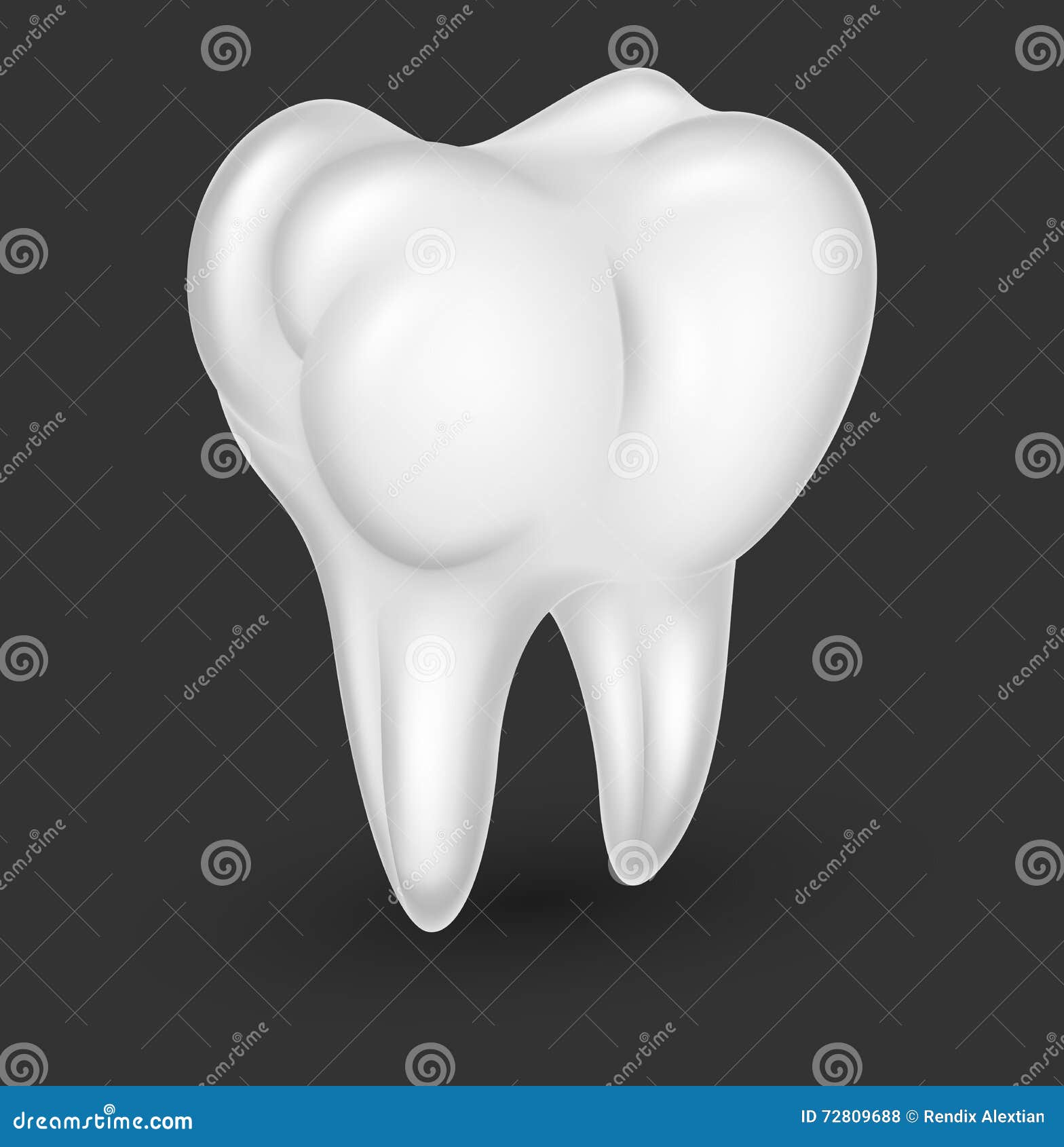 Human Molar Teeth Realistic Stock Illustration - Illustration of icon ...
