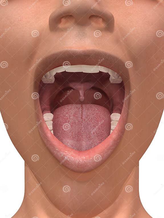 Human mouth stock illustration. Illustration of close - 14391841