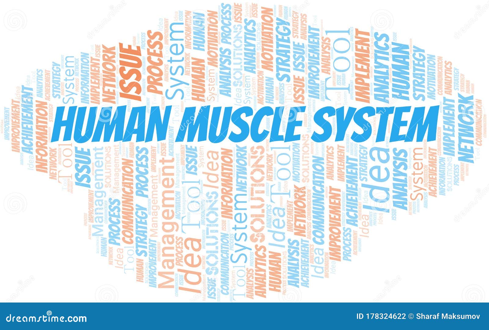 Human Muscle System Typography Vector Word Cloud. Stock Illustration ...