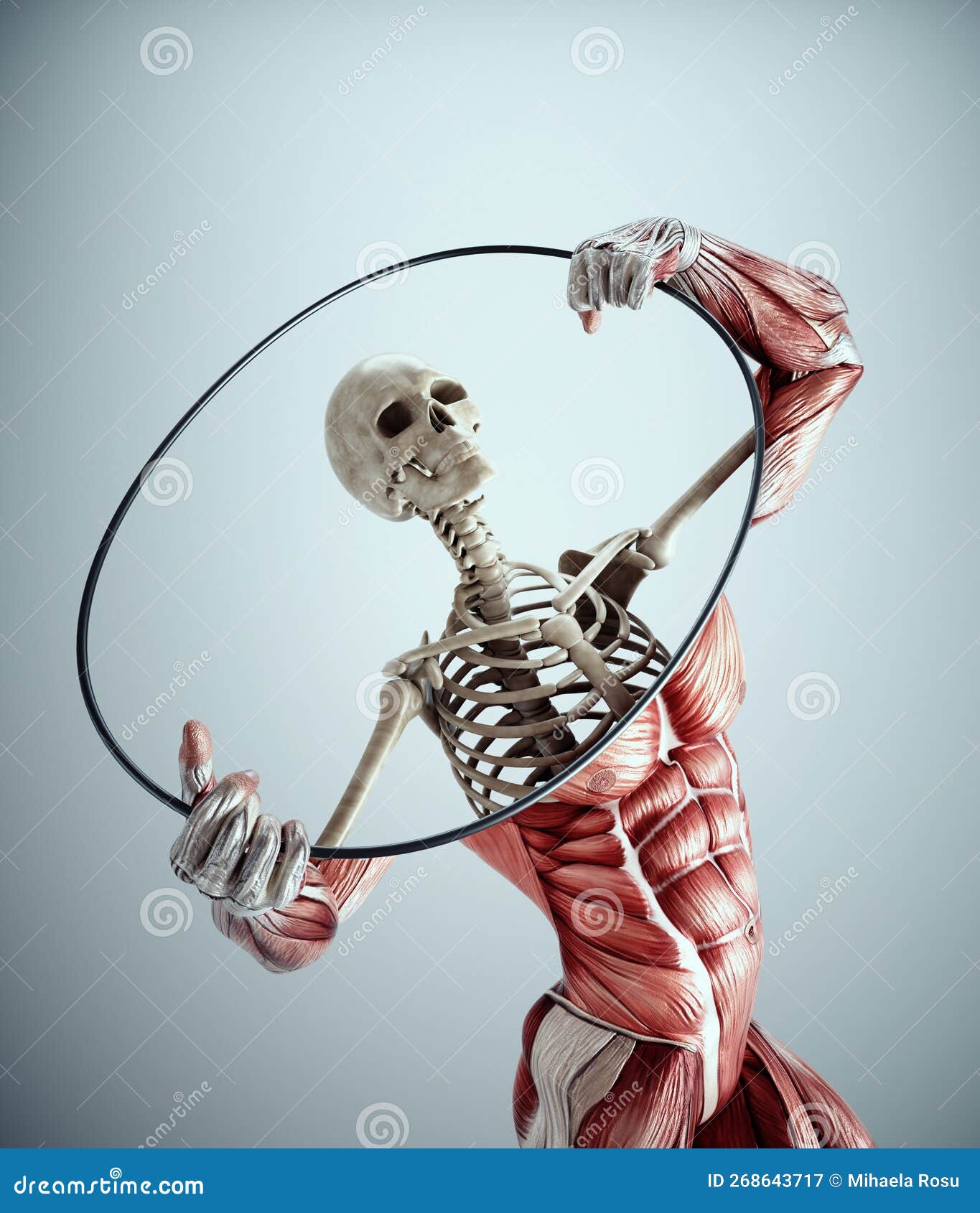 Human Muscular System and Skeleton Stock Illustration - Illustration of ...