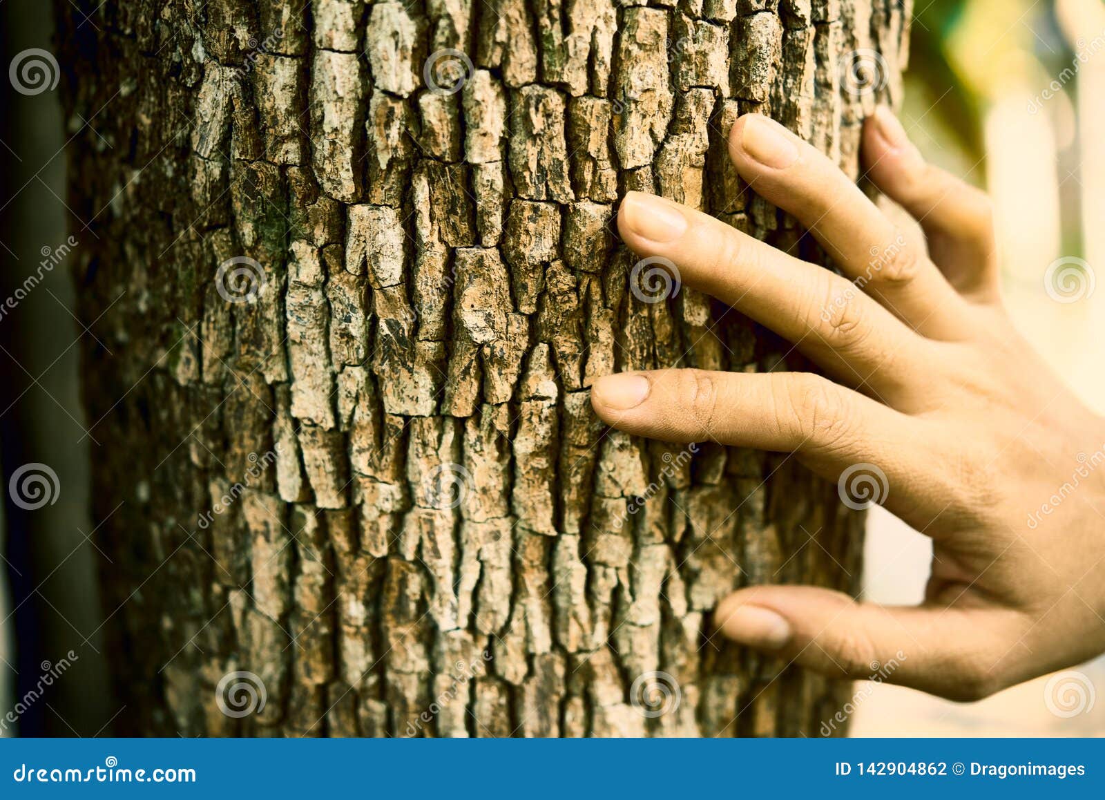 Human and nature contact stock photo. Image of texture - 142904862