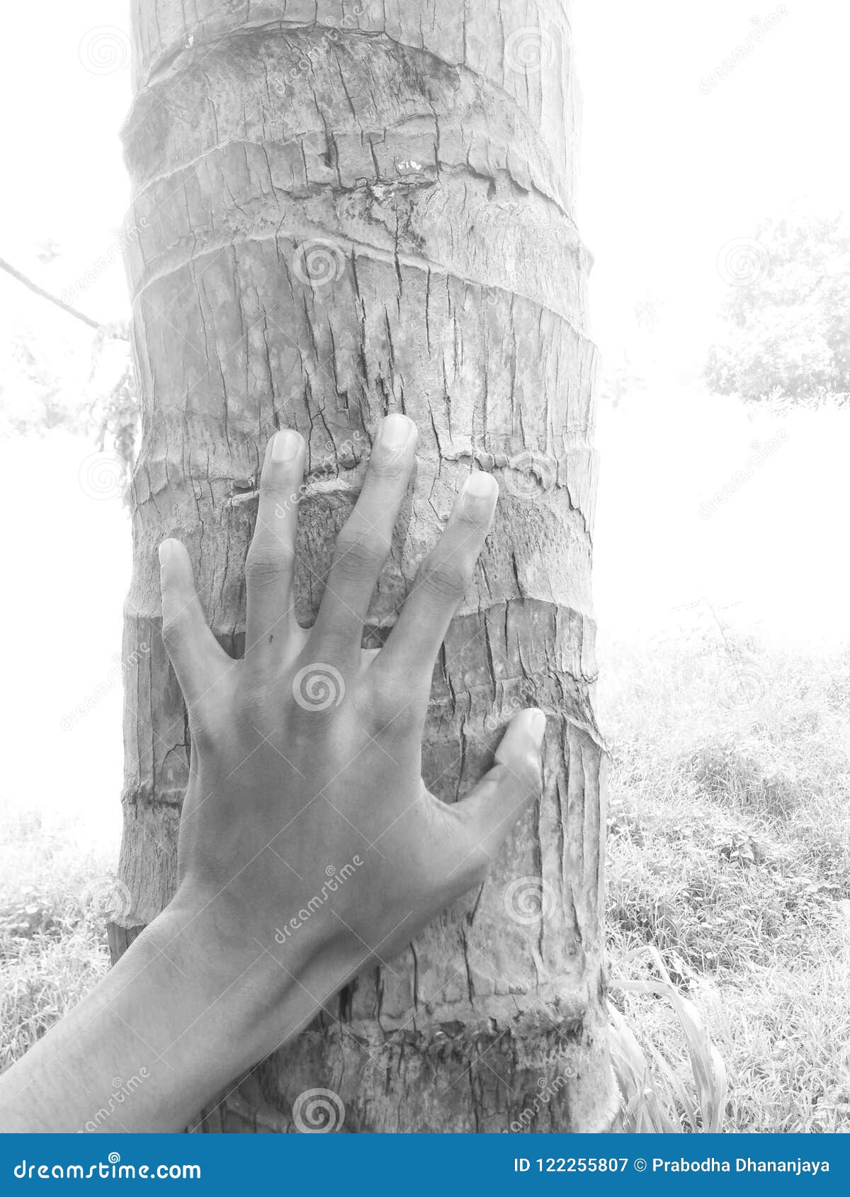 Human and nature stock image. Image of nature, tree - 122255807