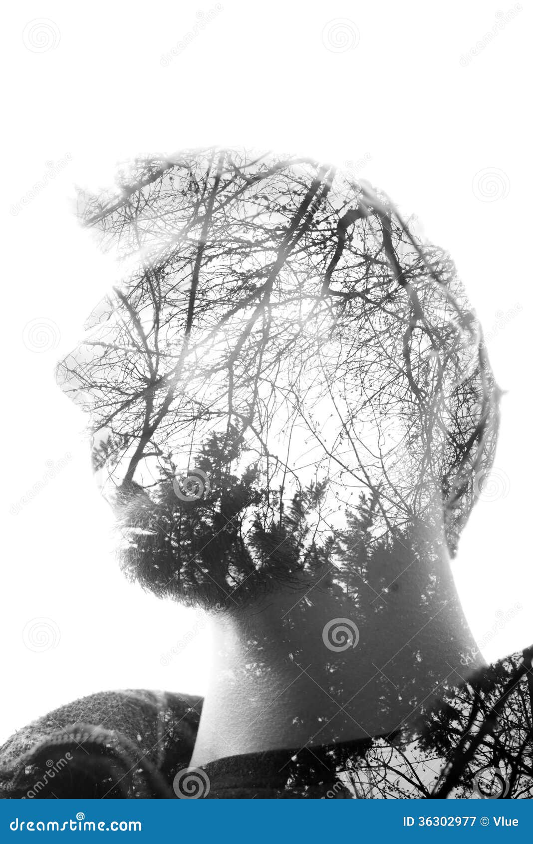 Human Nature stock image. Image of leaves, floral, face - 36302977