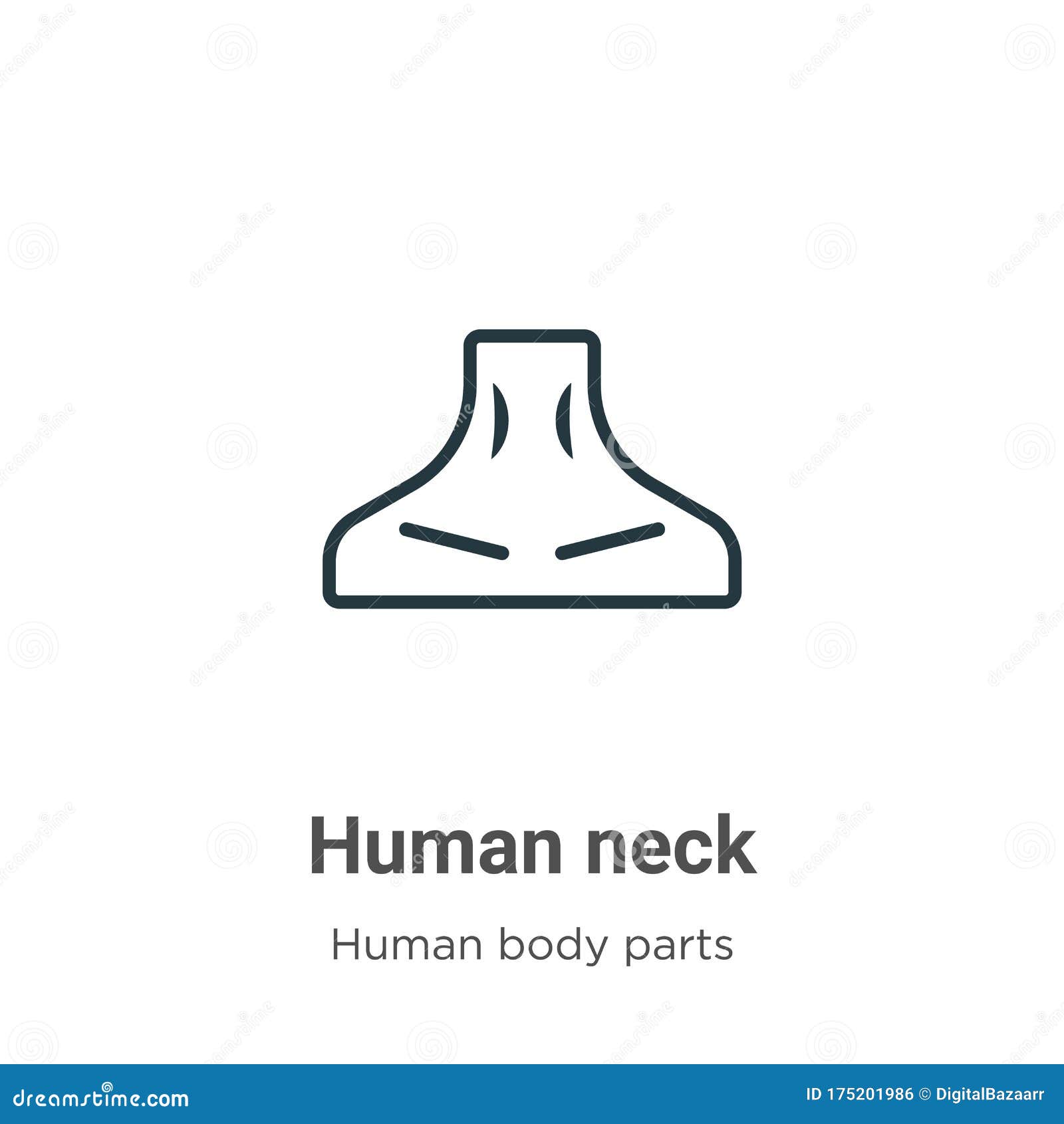 Human Neck Outline Vector Icon. Thin Line Black Human Neck Icon, Flat ...