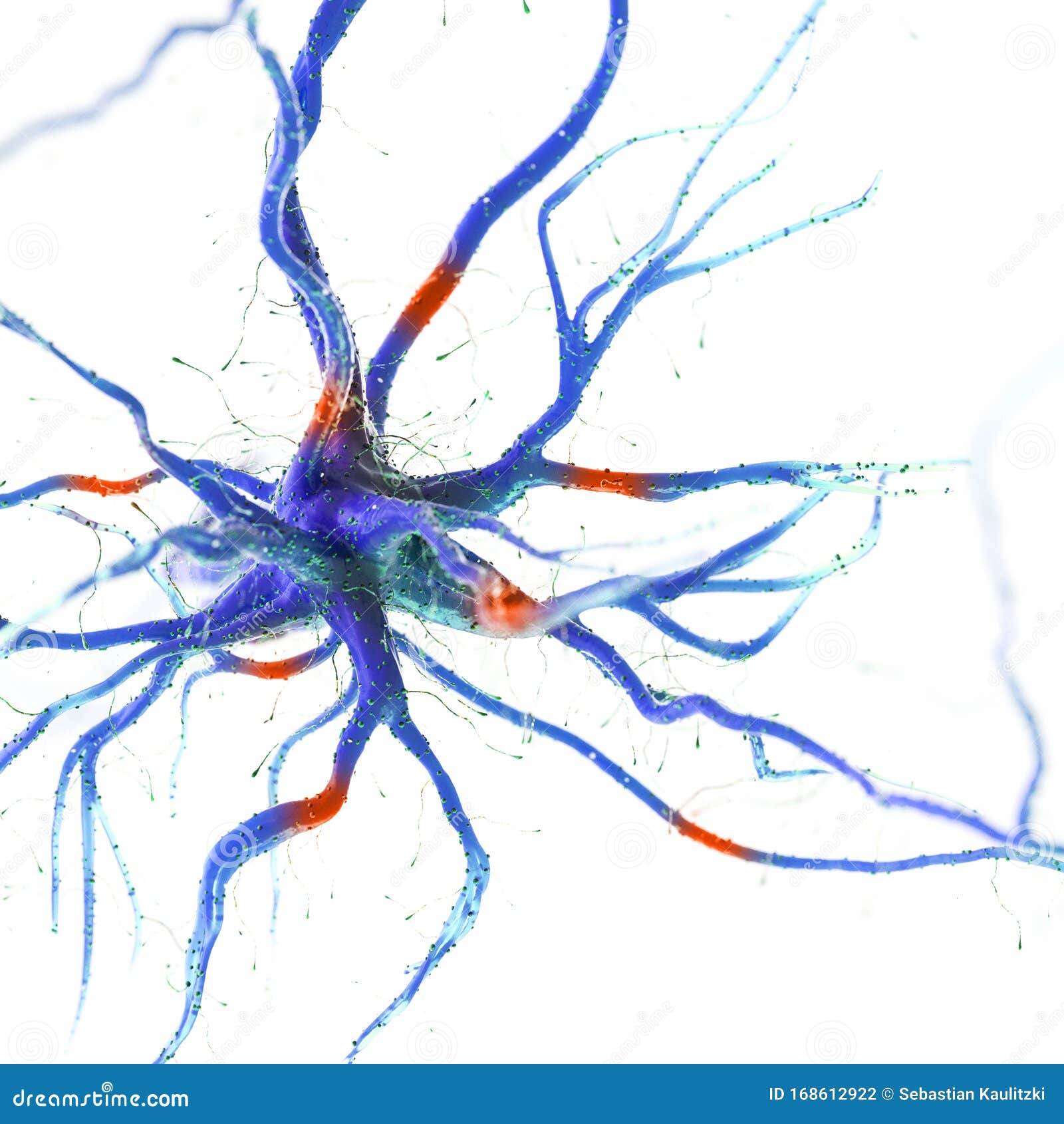 A human nerve cell stock illustration. Illustration of human - 168612922