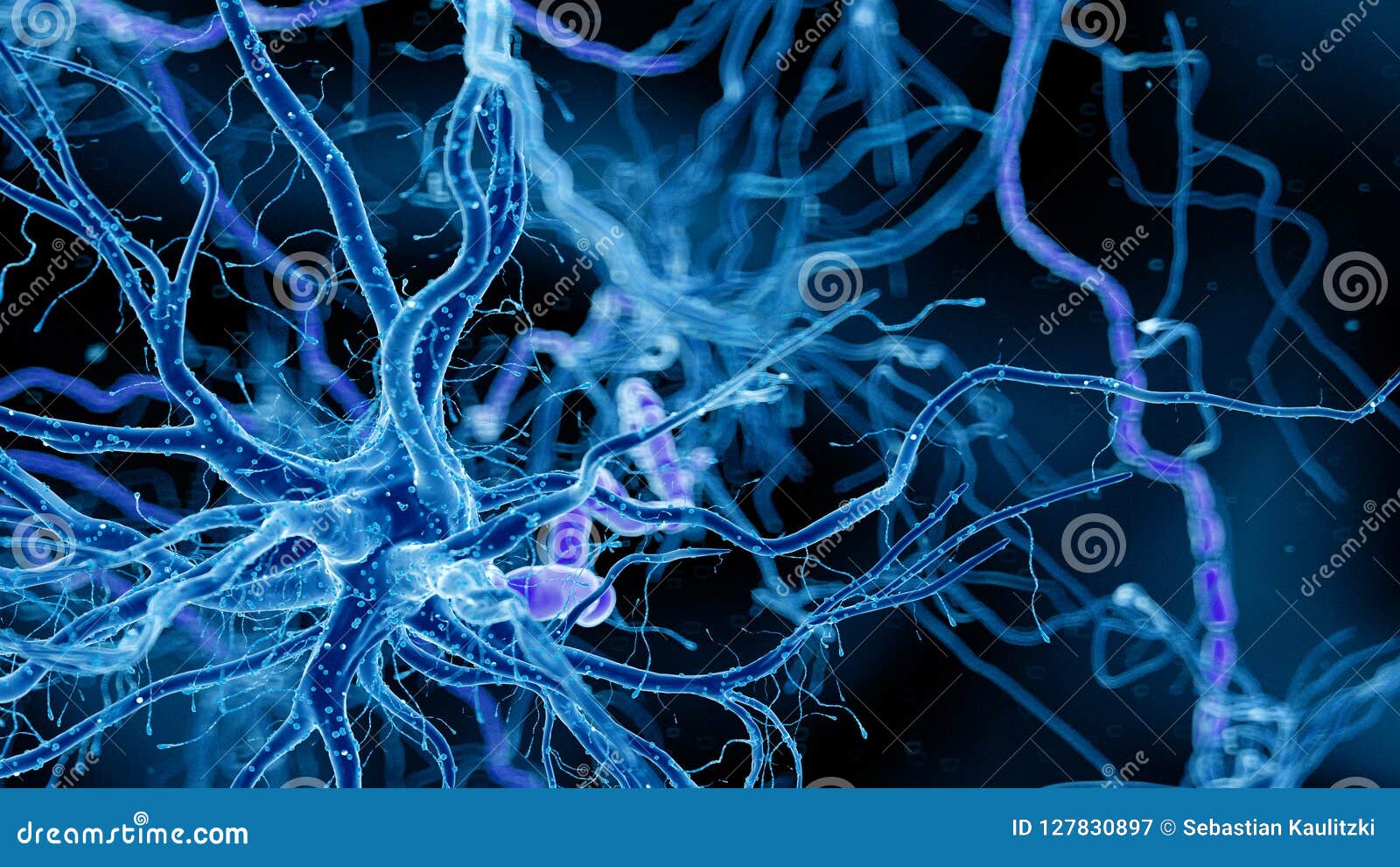 A human nerve cell stock illustration. Illustration of microbiology ...