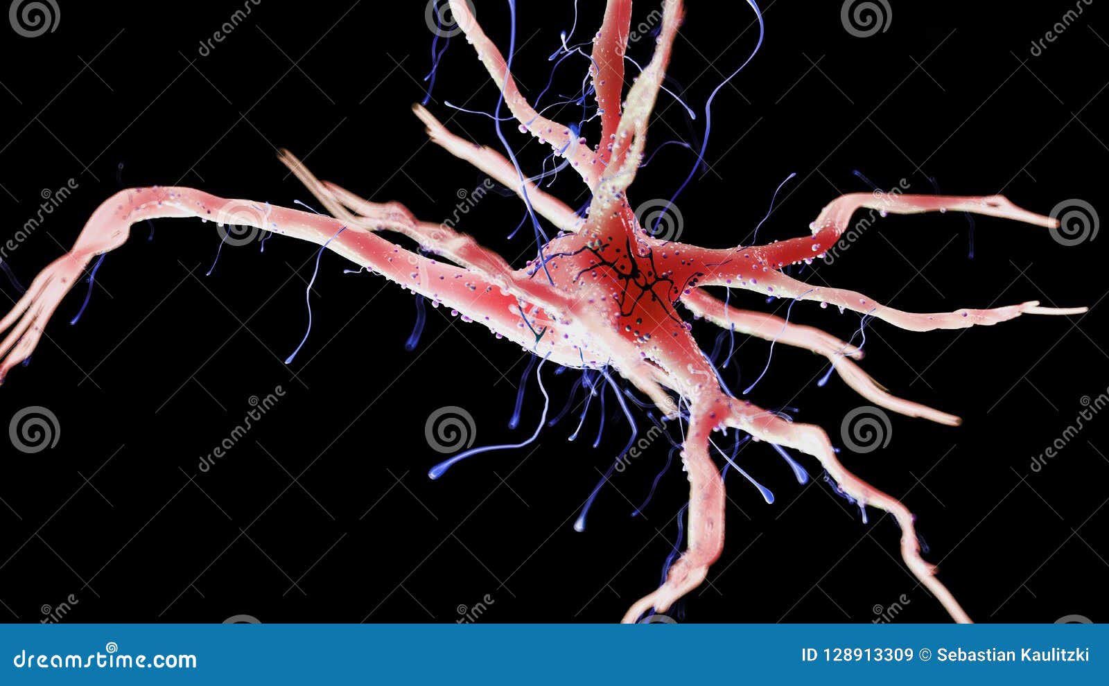 A human nerve cell stock illustration. Illustration of microscopic ...