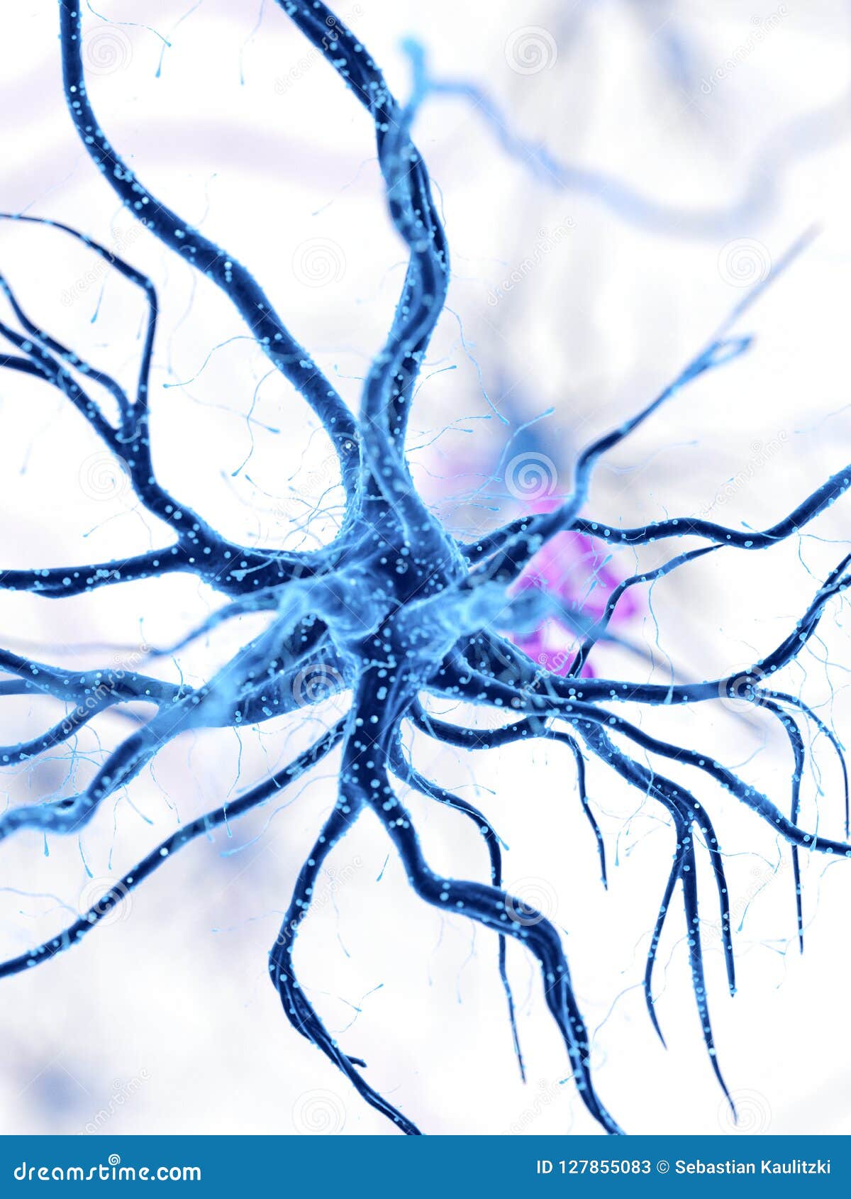 A human nerve cell stock illustration. Illustration of neurology ...