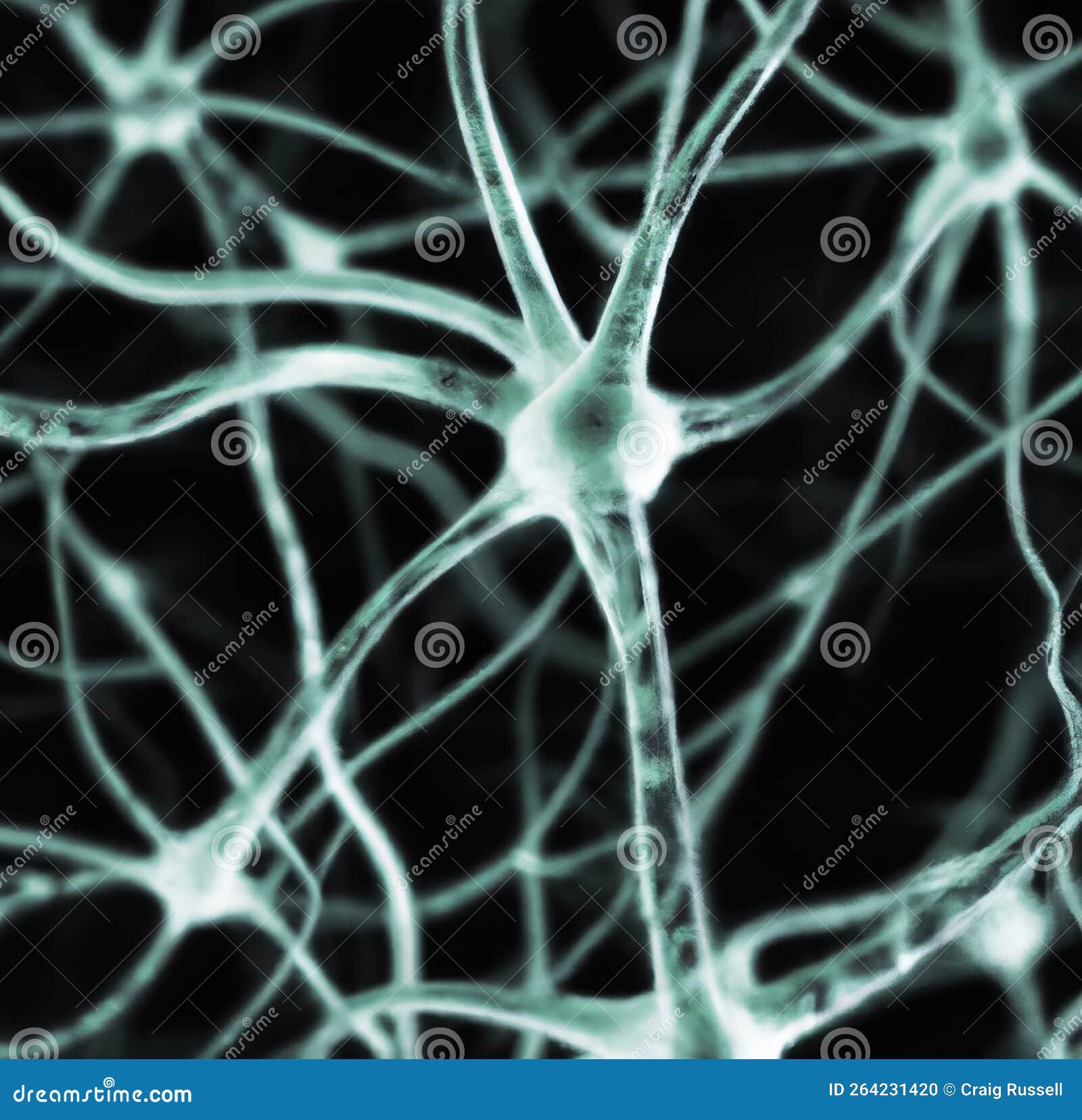 Human Nerve Cells Illustration Stock Illustration - Illustration of ...