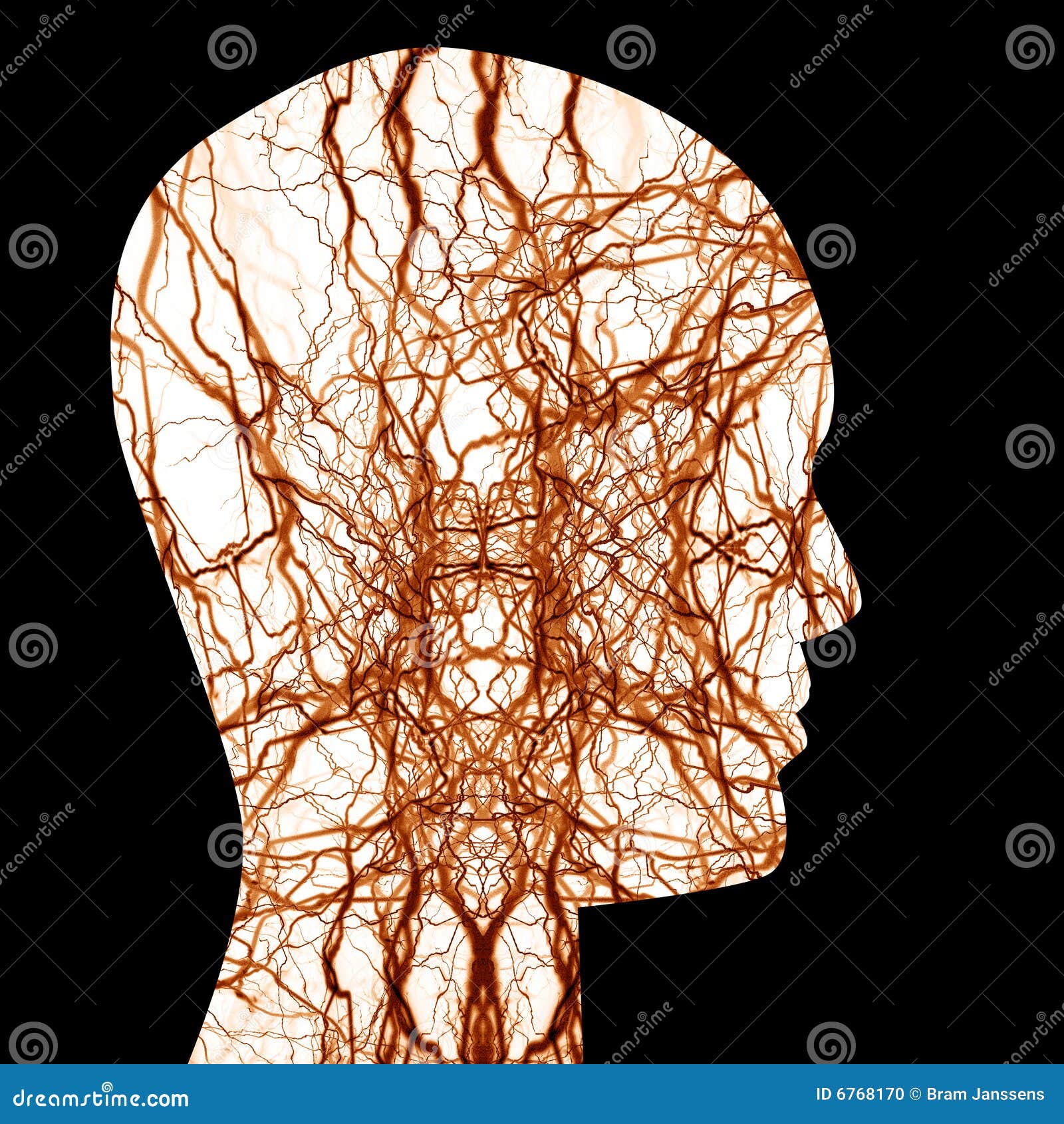 Human Nerve System Stock Photography | CartoonDealer.com #6768170