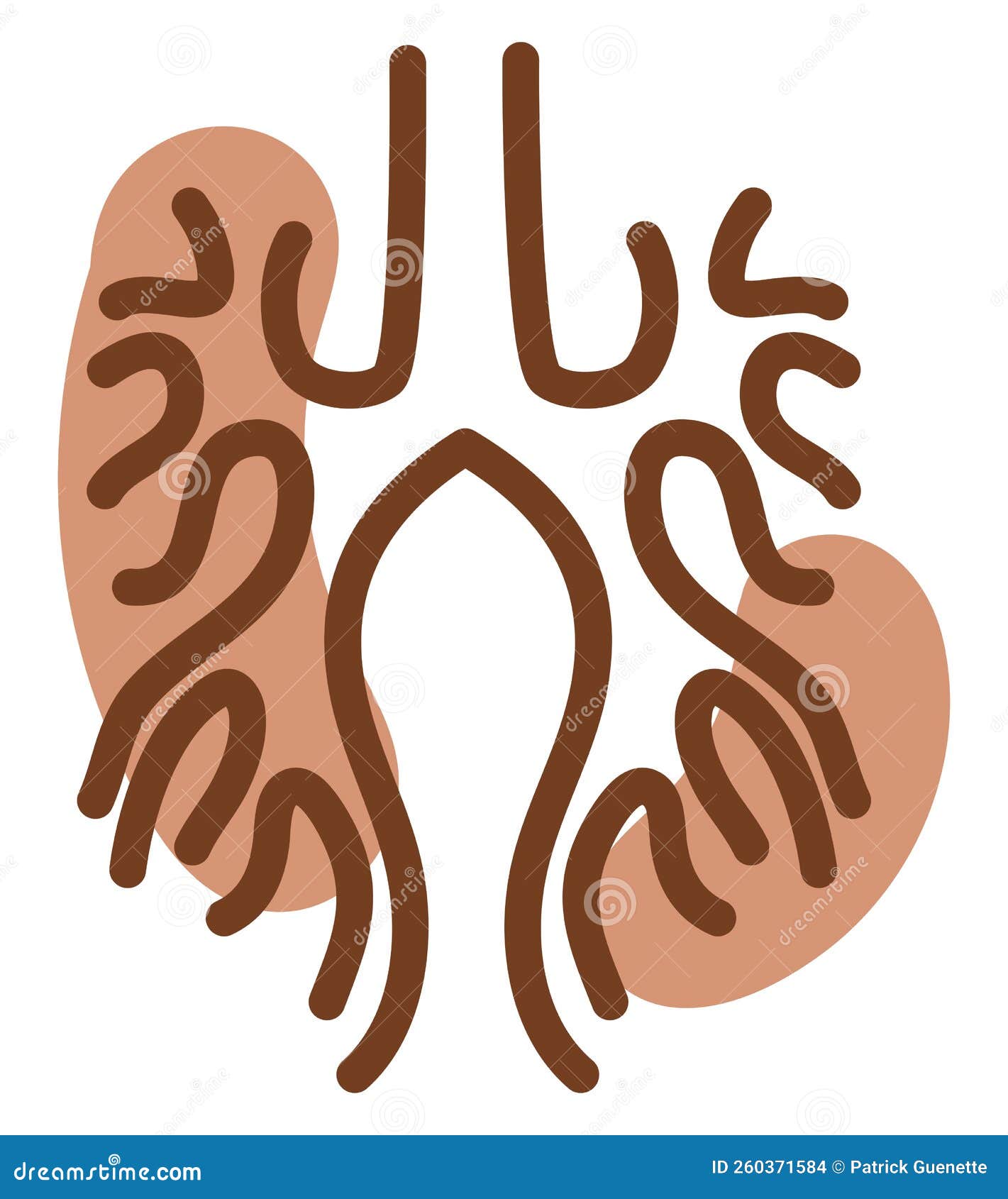 Human nerves, icon stock vector. Illustration of medicine - 260371584