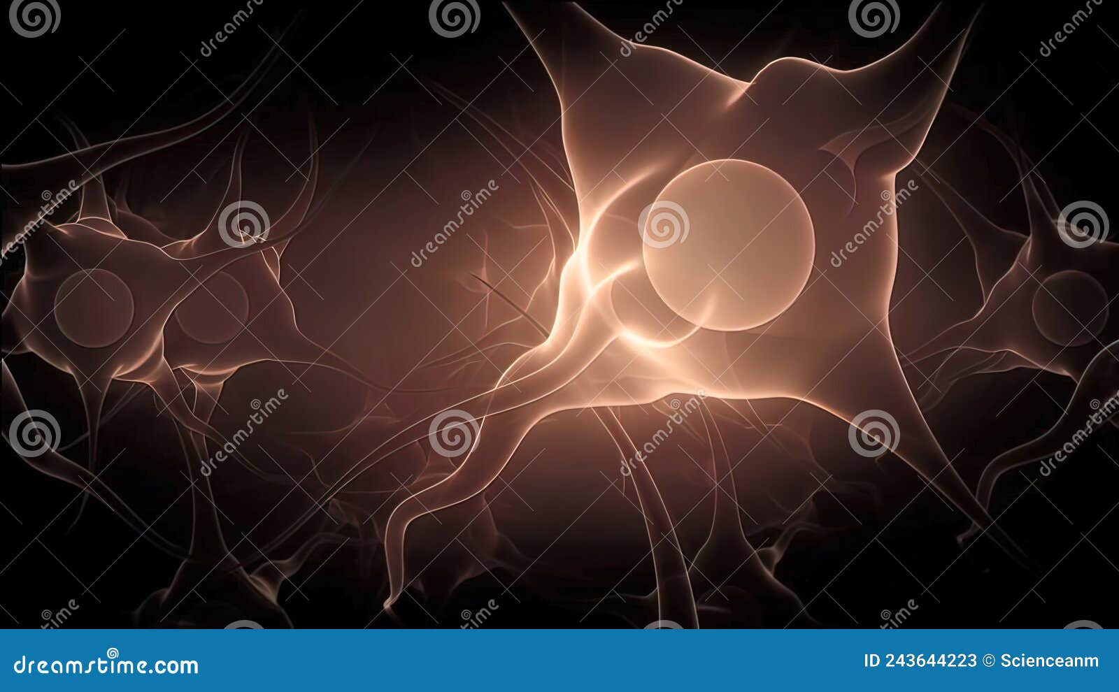 The Human Nervous System 3D Medical Illustration Stock Illustration ...
