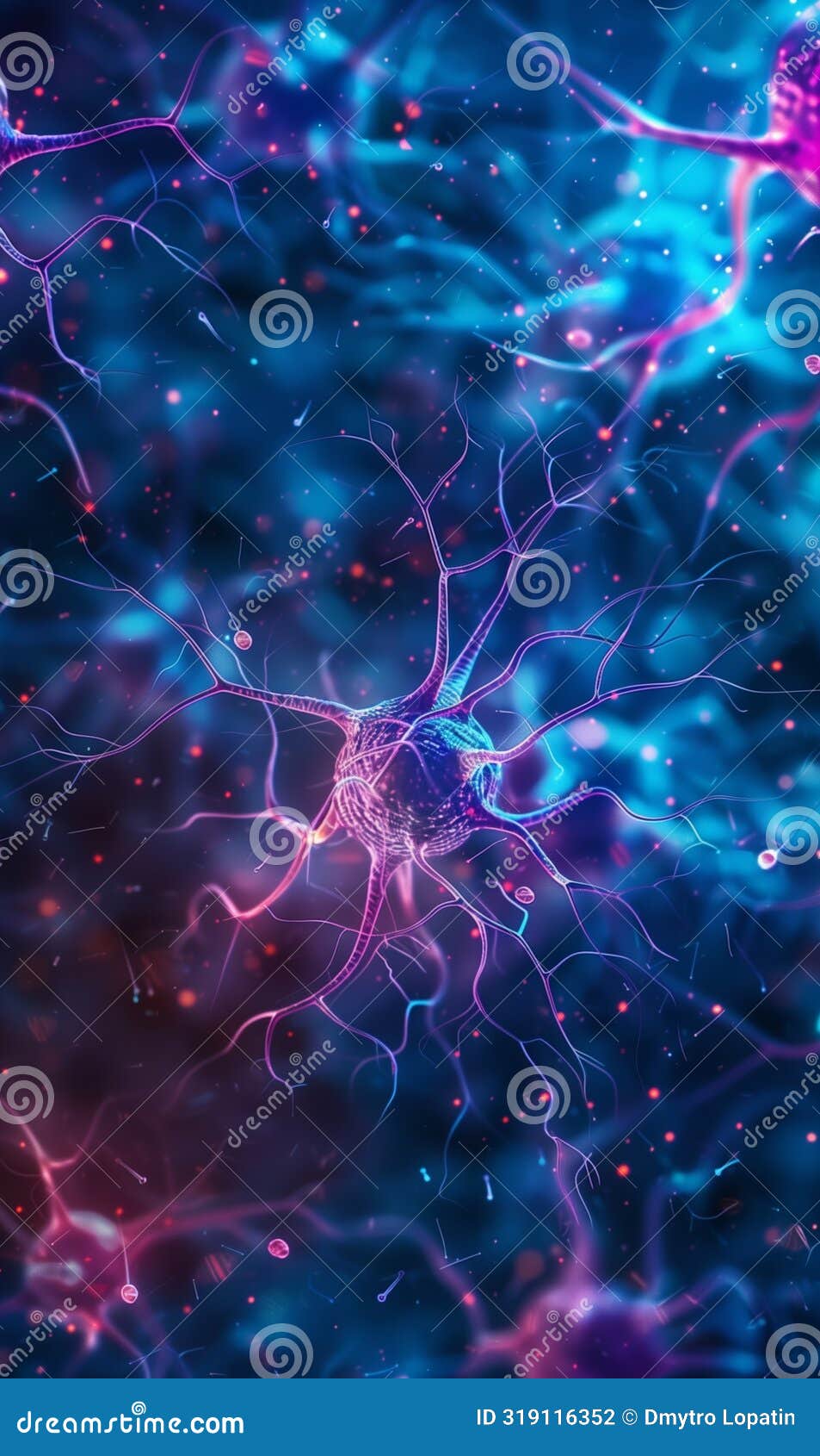 Human Neural Network Closeup, Nervous System And Synapse, Neurology And ... Human Neural Network Closeup, Nervous System And Synapse, Neurology And ...