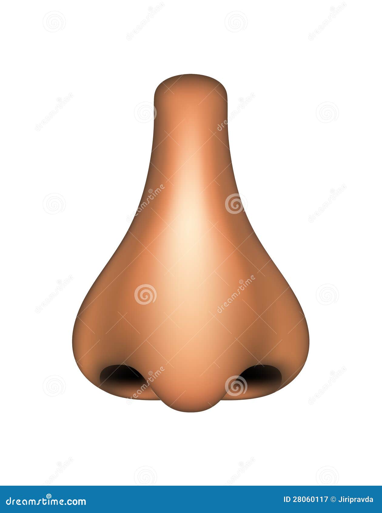Human Nose With Nostrils. Cartoon Vector | CartoonDealer.com #170673571