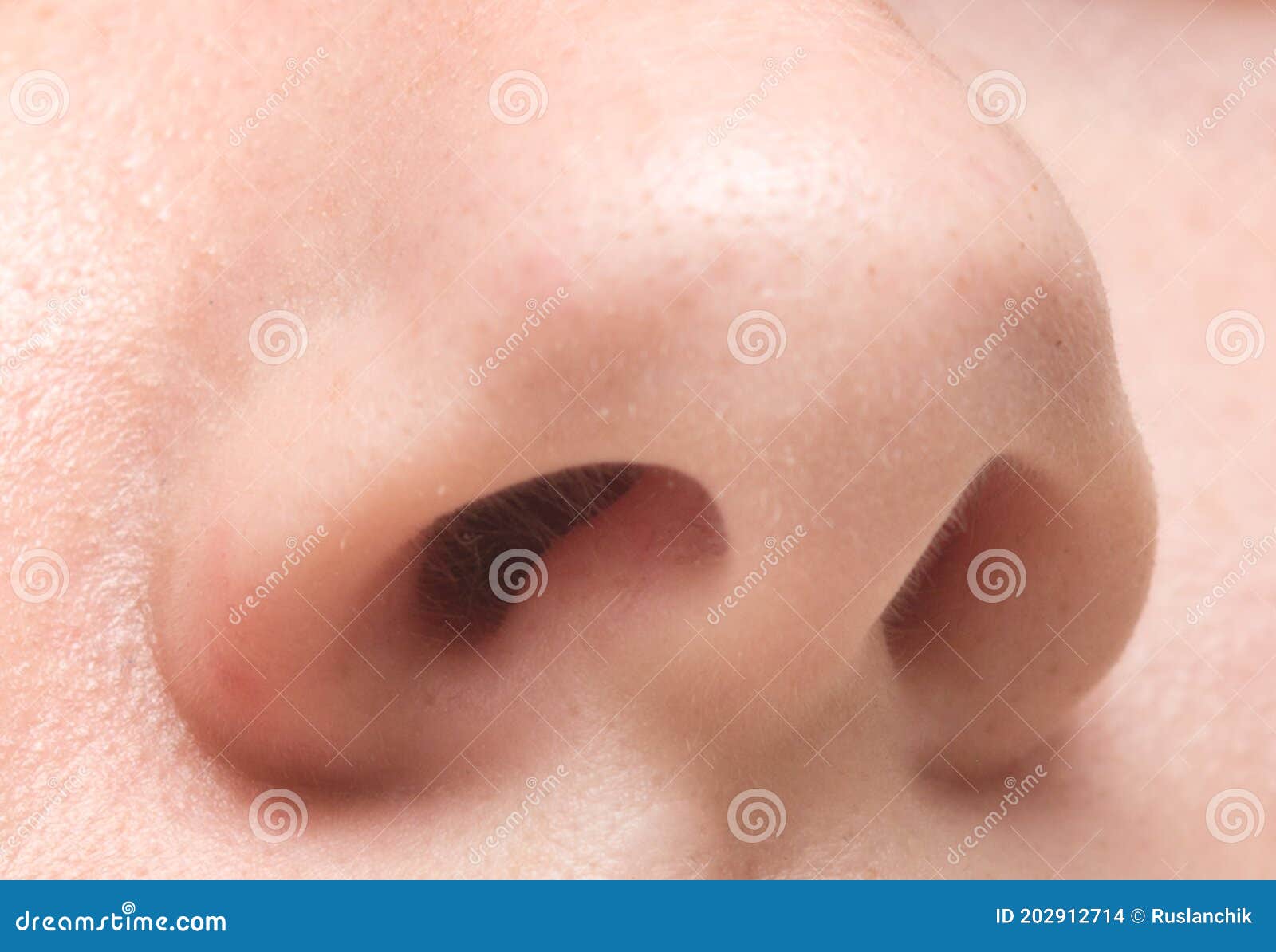 Human nose stock photo. Image of medical, frontal, face - 202912714
