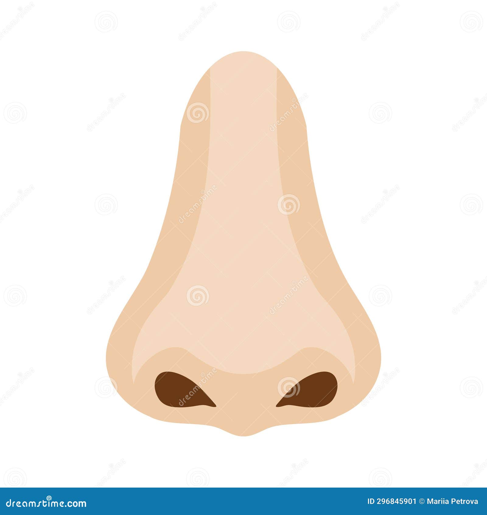 Human Nose Isolated. Vector Stock Illustration - Illustration of drawn ...