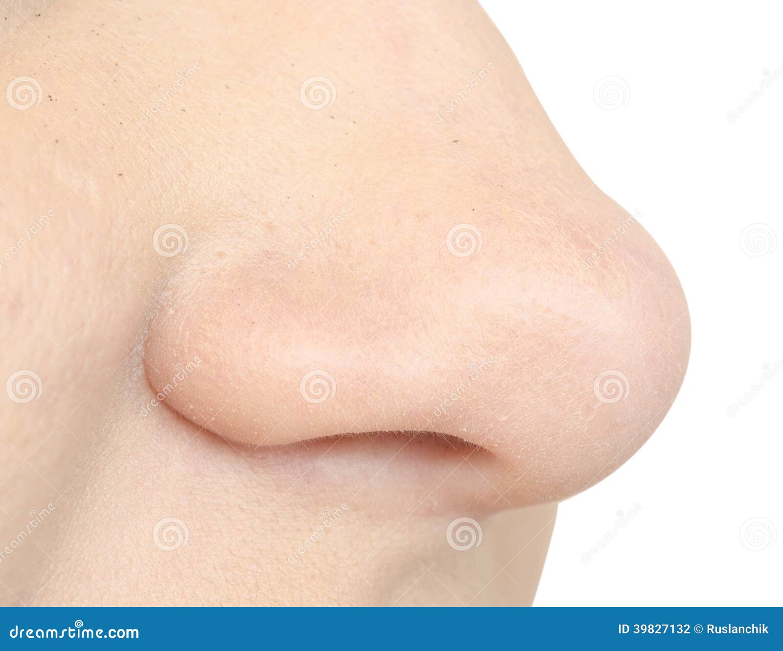 Human Nose Stock Photo | CartoonDealer.com #31369002
