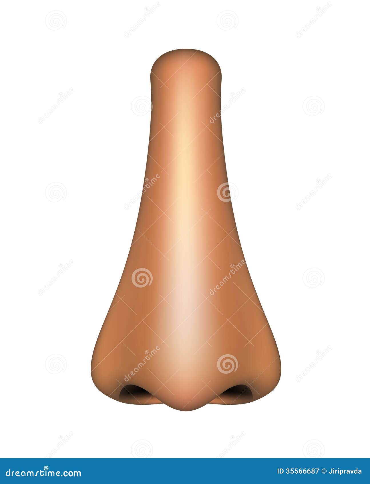 Human nose stock vector. Illustration of space, young - 35566687