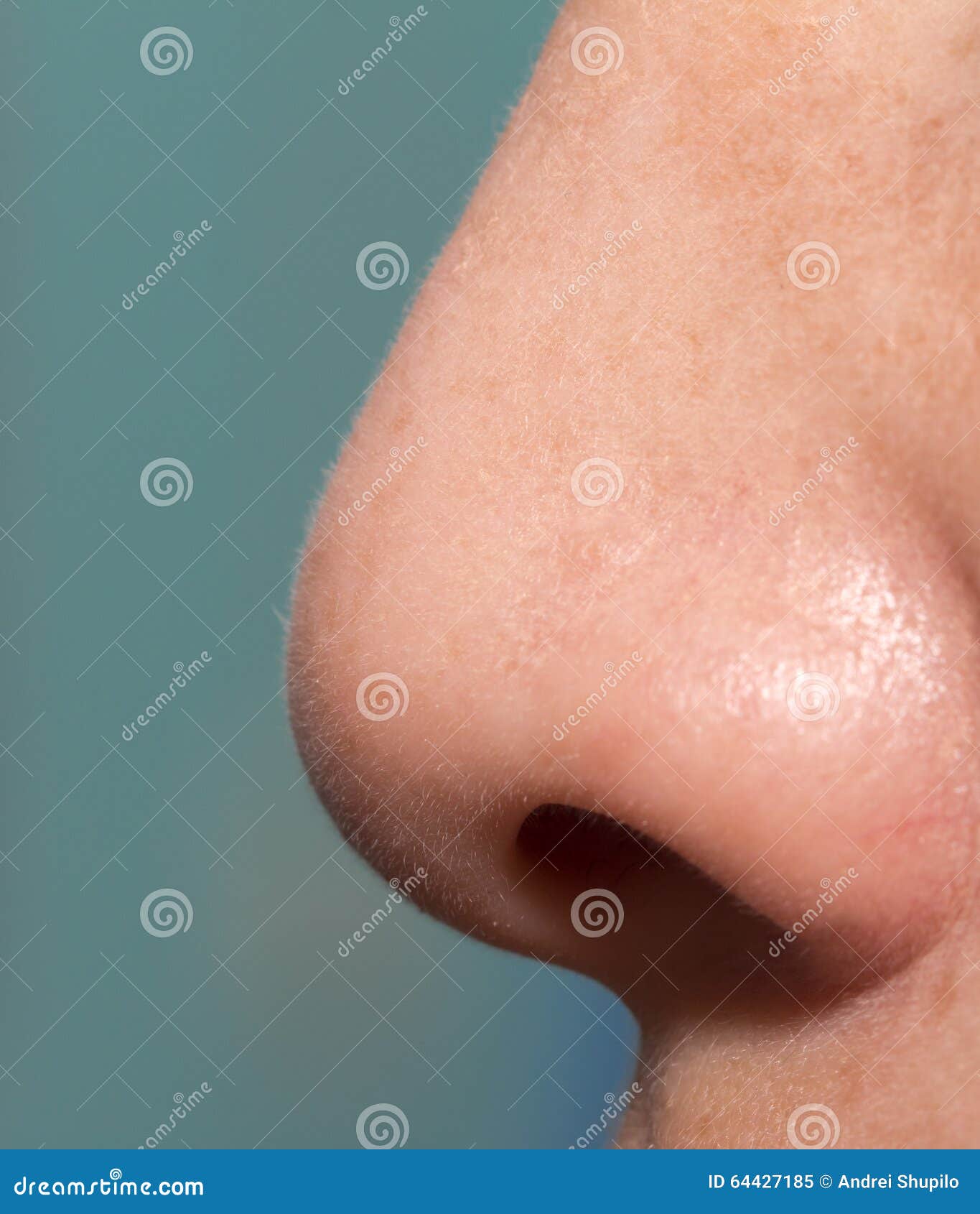 Human nose stock image. Image of macro, speckles, blemishes - 64427185