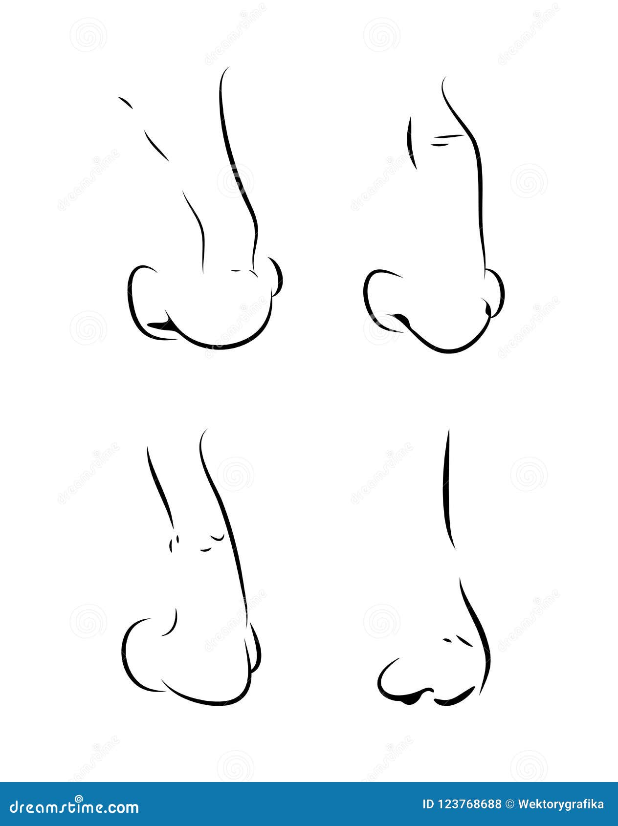 Nose Outline Drawing