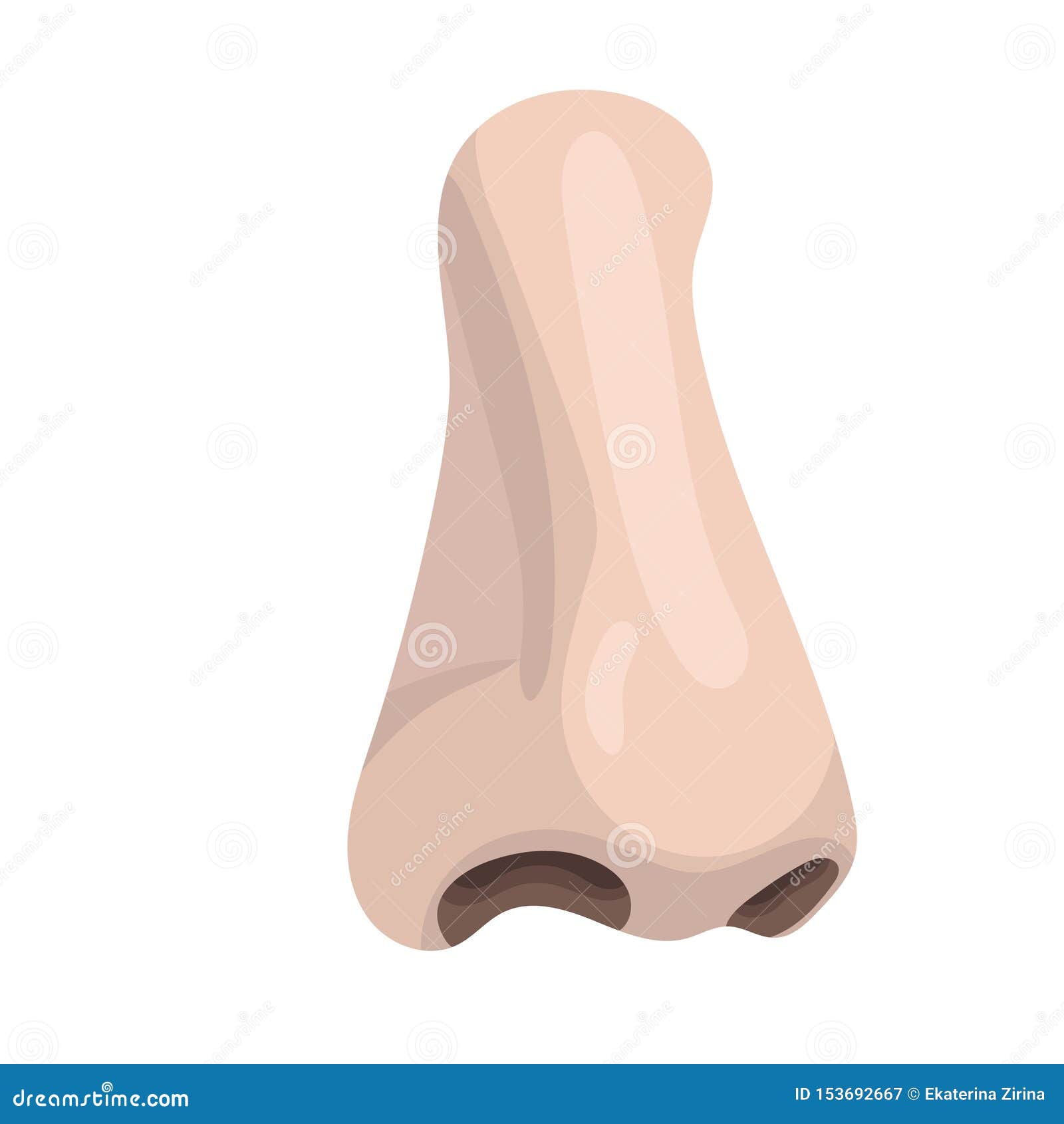 The Human Nose. Part of the Human Body. Vector Illustration Isolated on ...
