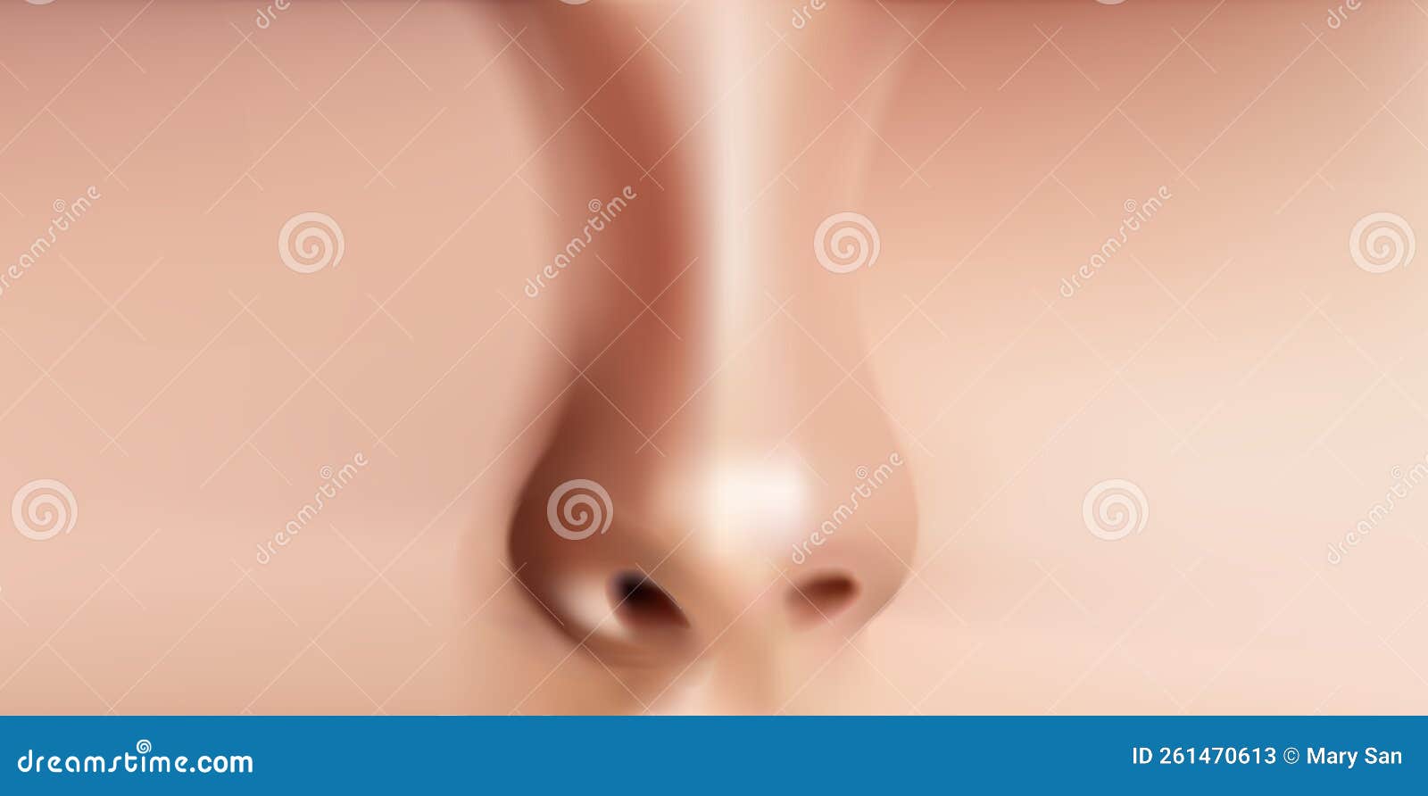 Human Nose Realistic Front View Vector Illustration. | CartoonDealer ...