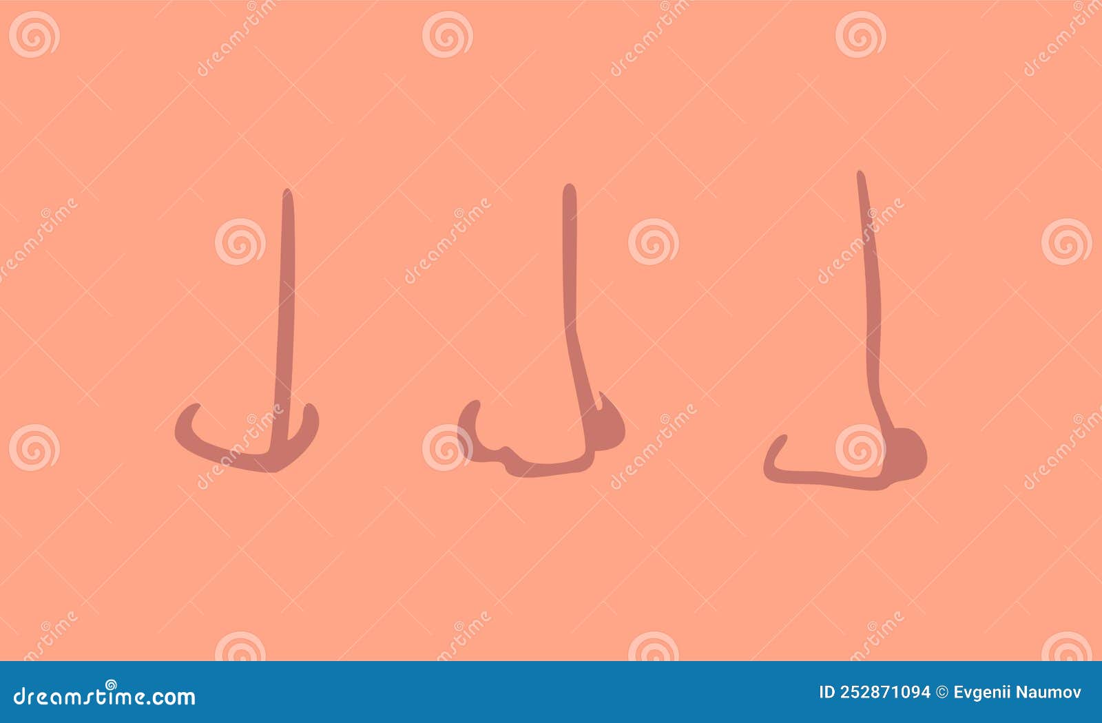 Human Nose Stroke Curve for Face Design and Construction Vector Set ...