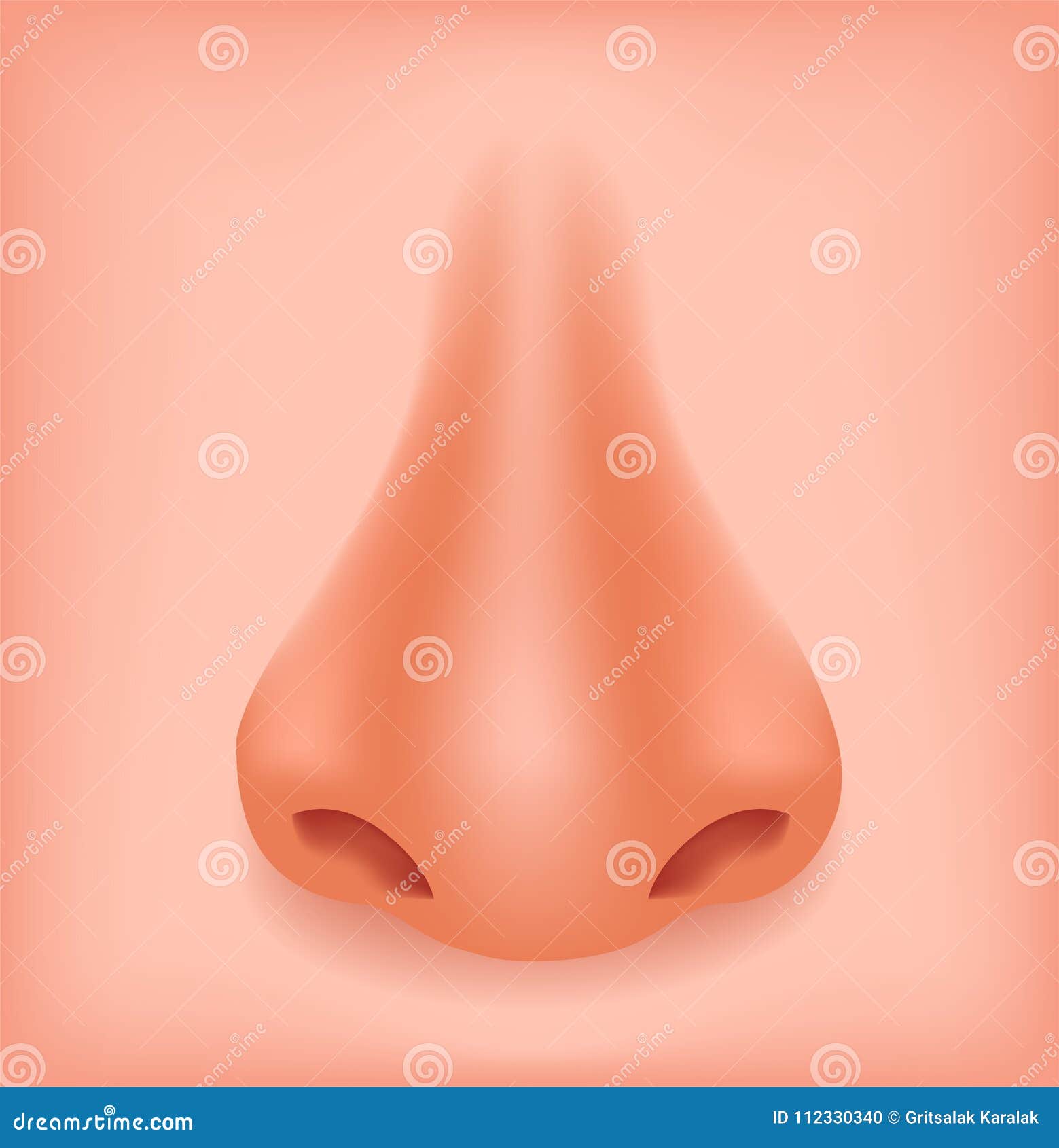 Human Nose on White Background Stock Vector - Illustration of medical ...