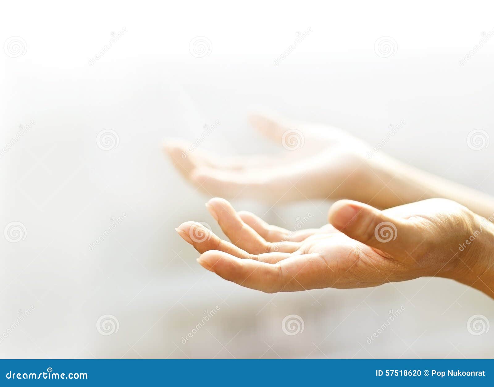 Human Open Empty Hands with Light Background Stock Photo - Image of ...