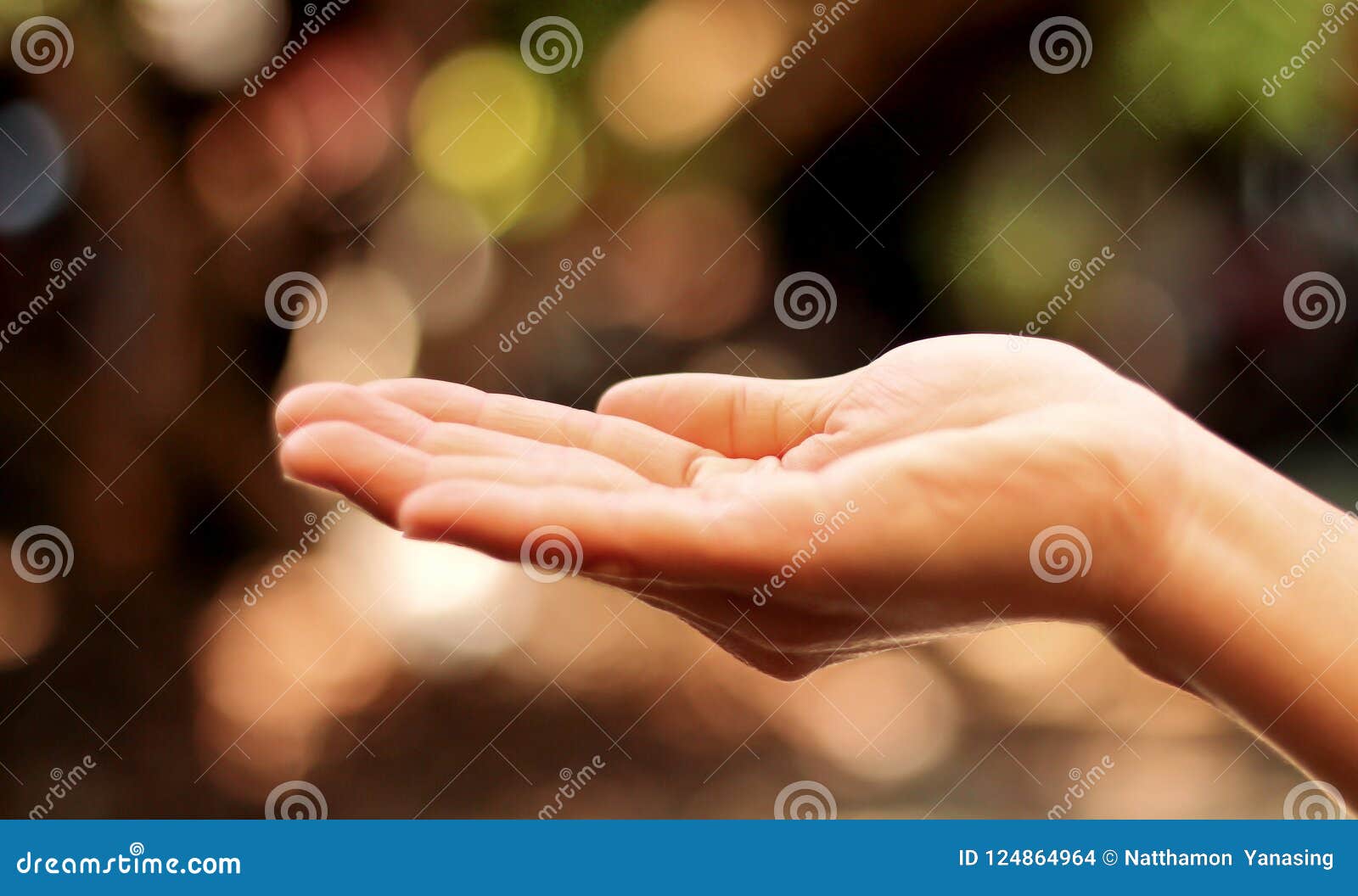 Human Open Empty Hands With Palms Up On Nature Bokeh Background Picture ...