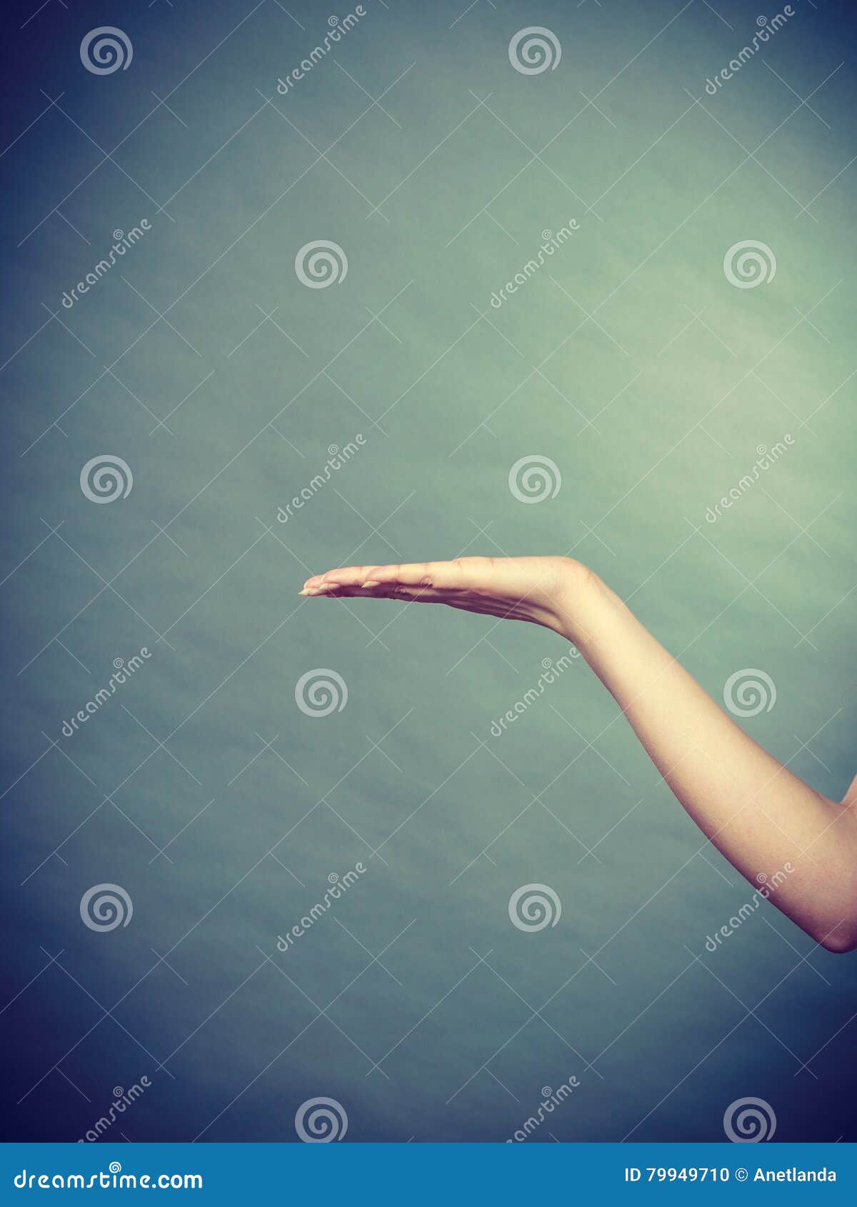 Human open palm empty hand stock photo. Image of space - 79949710