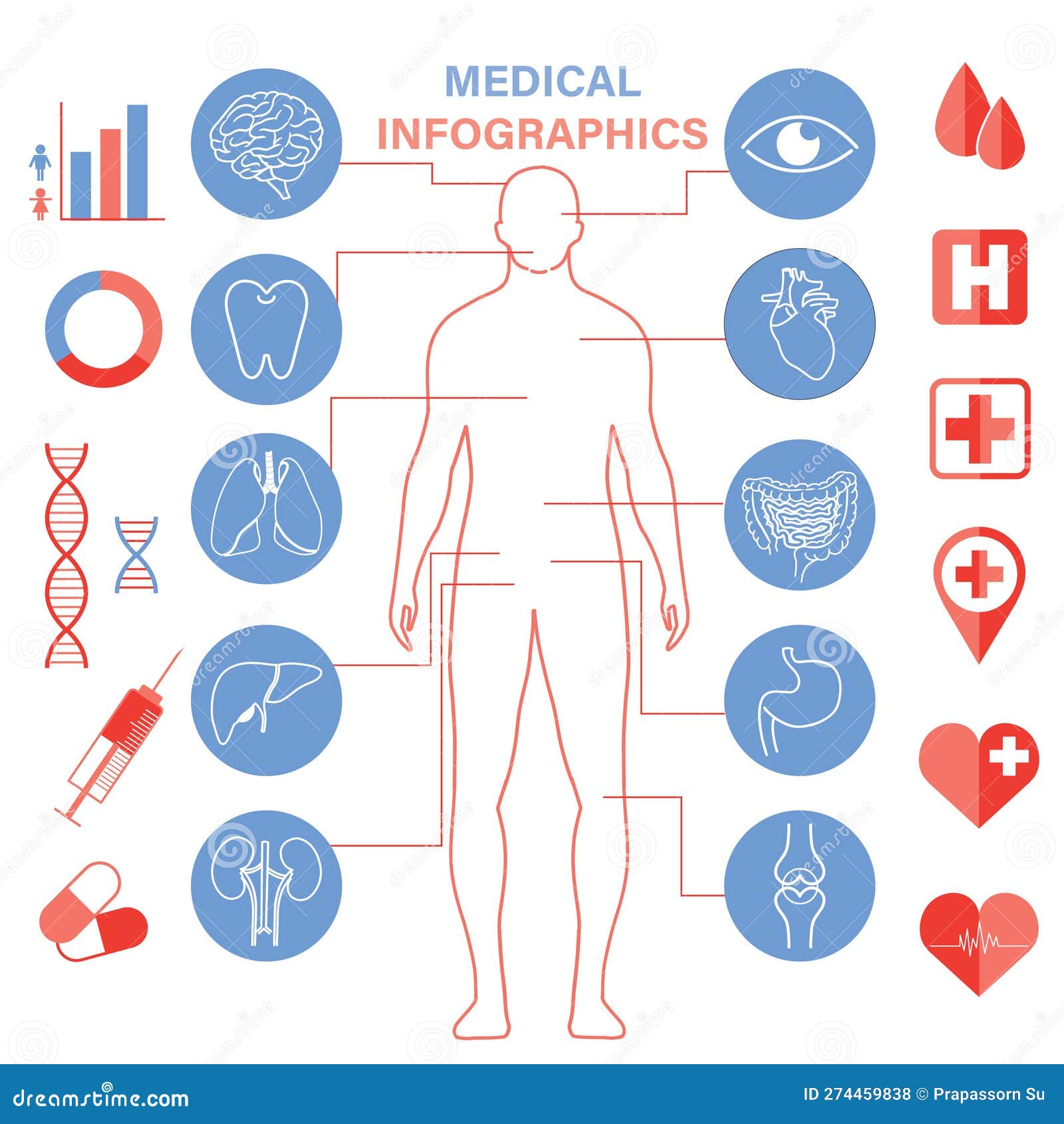 Human organ icon set stock vector. Illustration of vector - 274459838