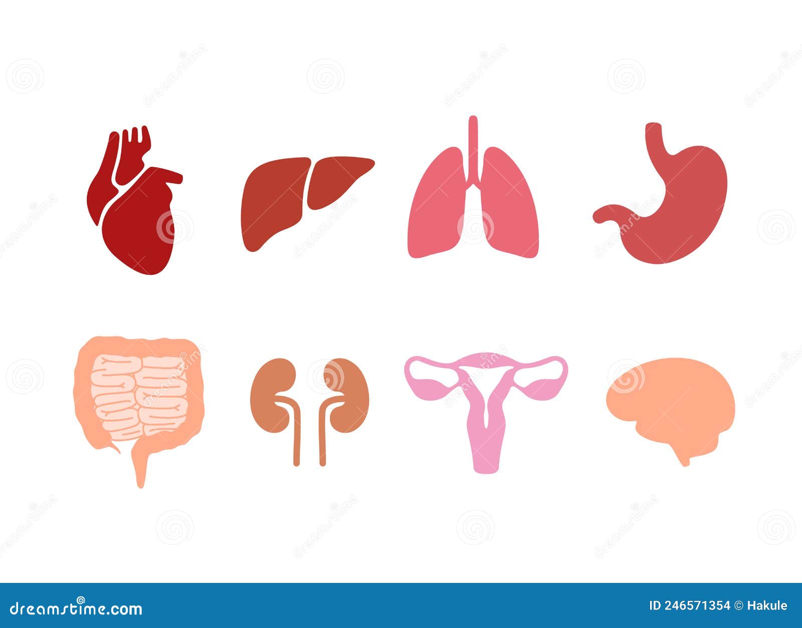 Human Organ Icon Set, Vector Stock Vector - Illustration of design ...