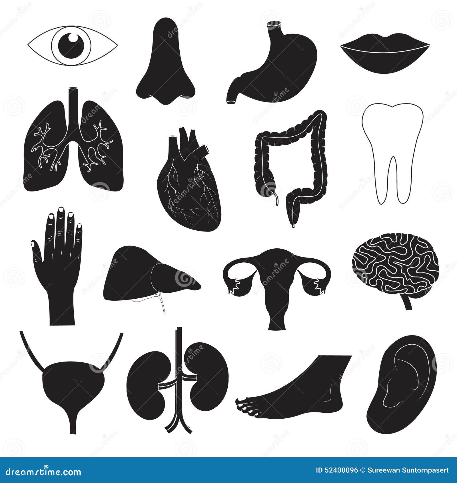 Human Organ Icons Set stock vector. Illustration of lung - 52400096