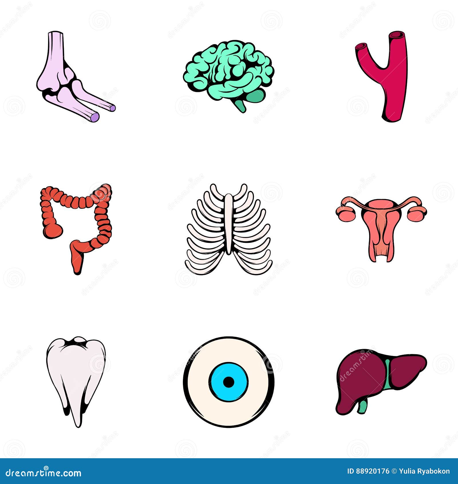 Human Organ Icons Set, Cartoon Style Stock Vector - Illustration of ...