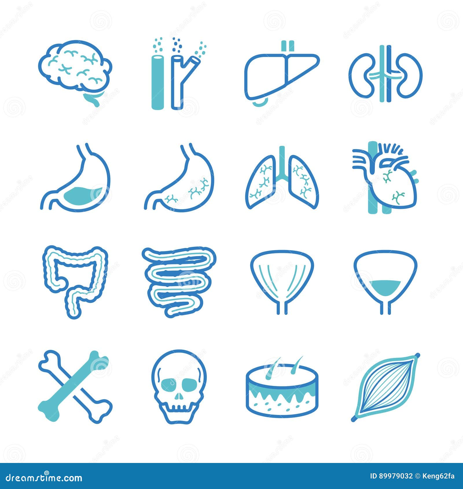 Human Organ Icon Symbol Medicine Logo Set.Lungs Heart Kidney Liver ...