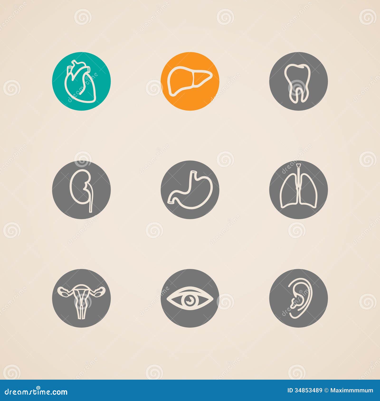 Human organ icons set stock vector. Illustration of care - 34853489