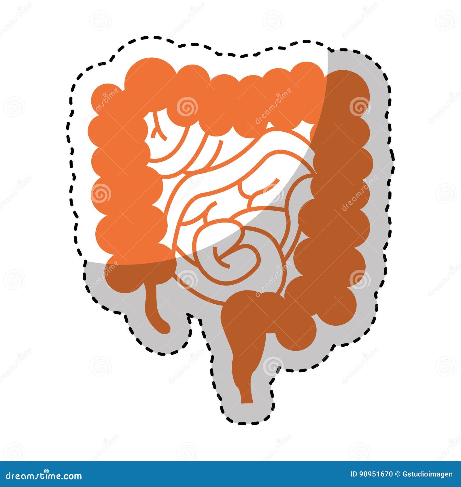 Human organ intestine icon stock vector. Illustration of ...