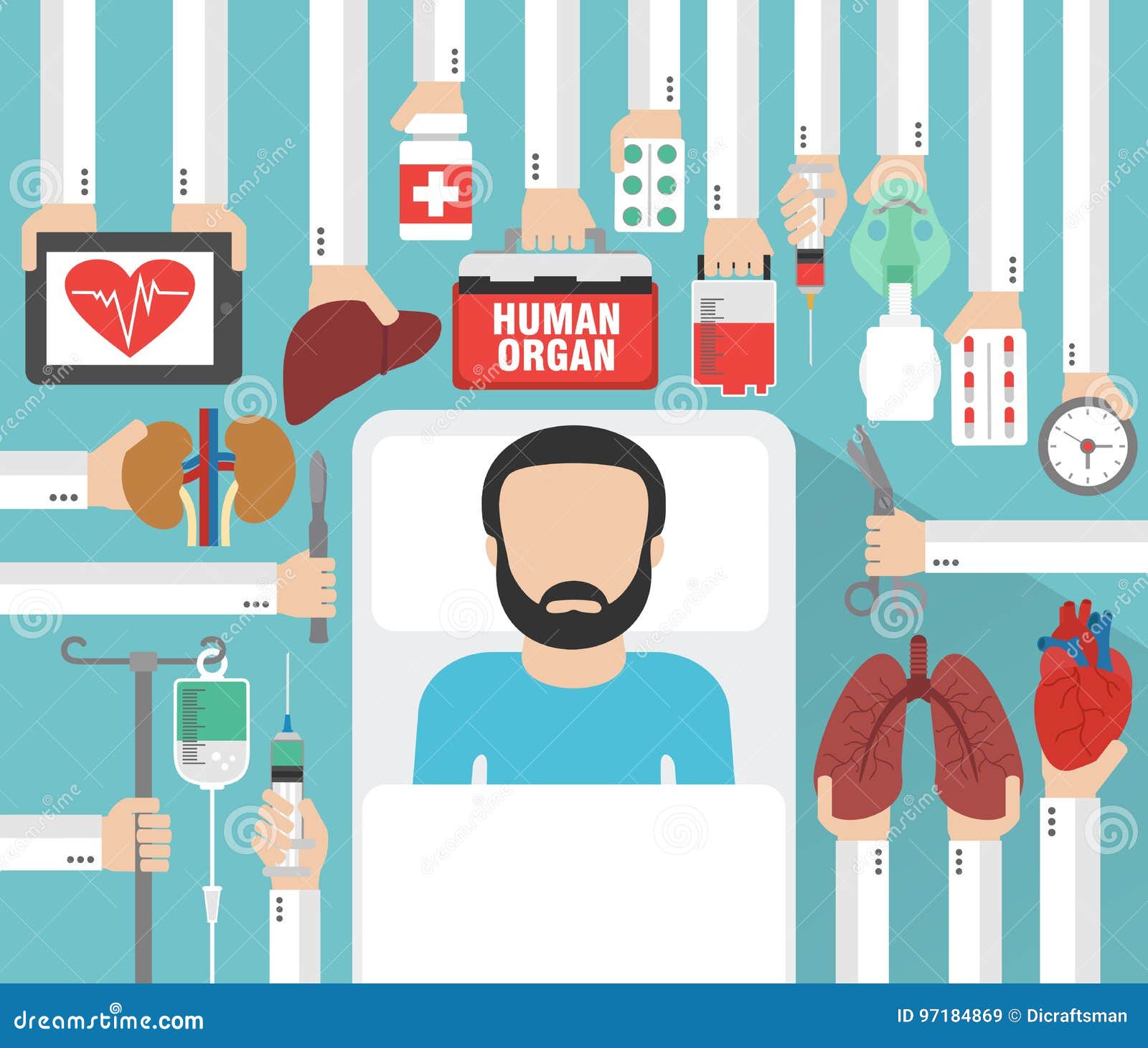 Human Organ For Transplantation Design Flat Vector Illustration ...