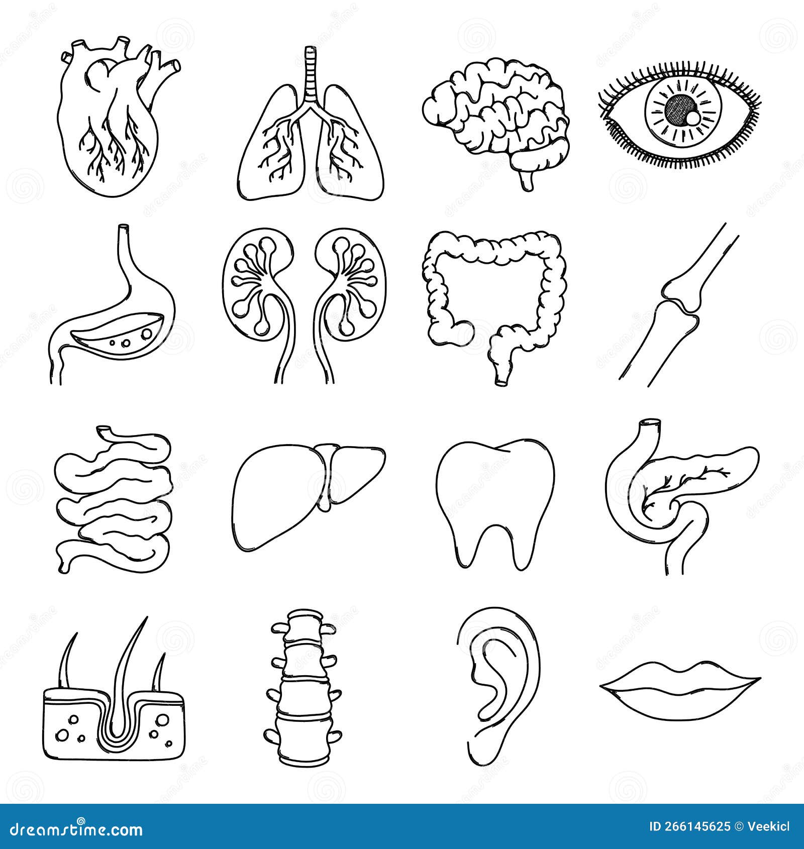 Human Organs Doodle Vector Icon Set. Drawing Sketch Illustration Hand ...