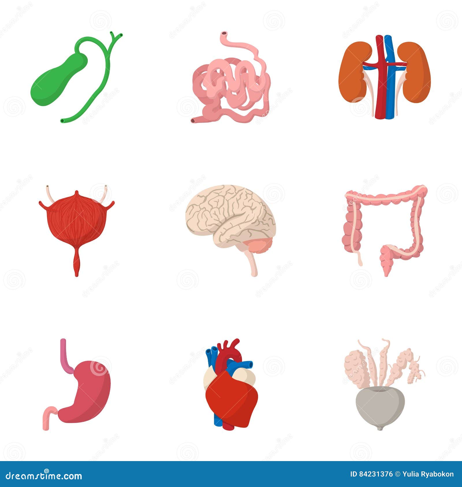 Human Organs Icons Set, Cartoon Style Stock Vector - Illustration of ...