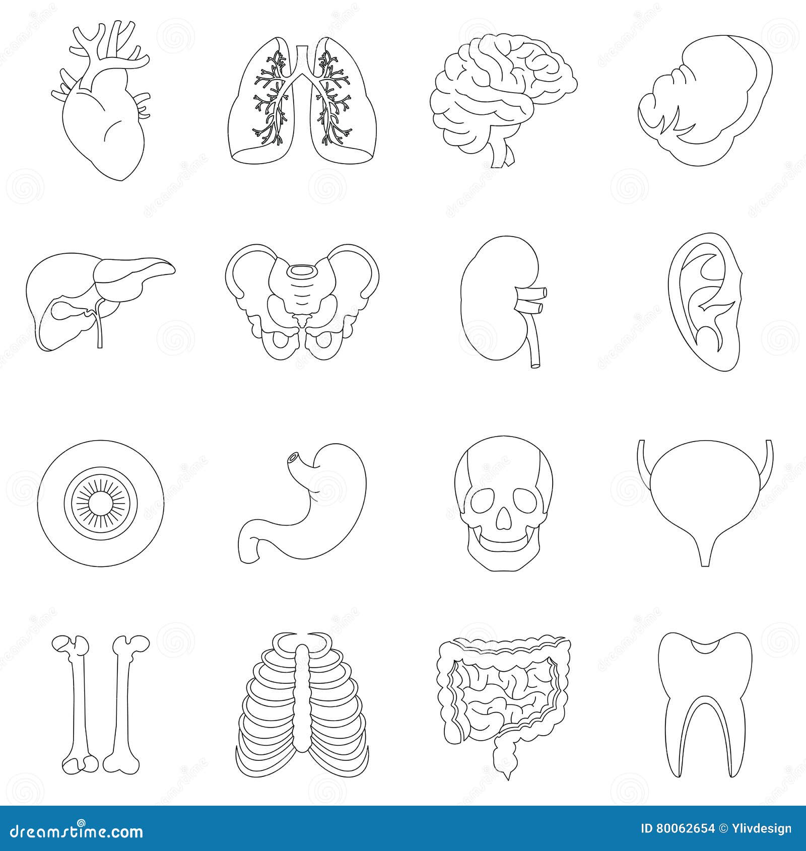 Human Organs Icons Set, Outline Style Stock Vector - Illustration of ...