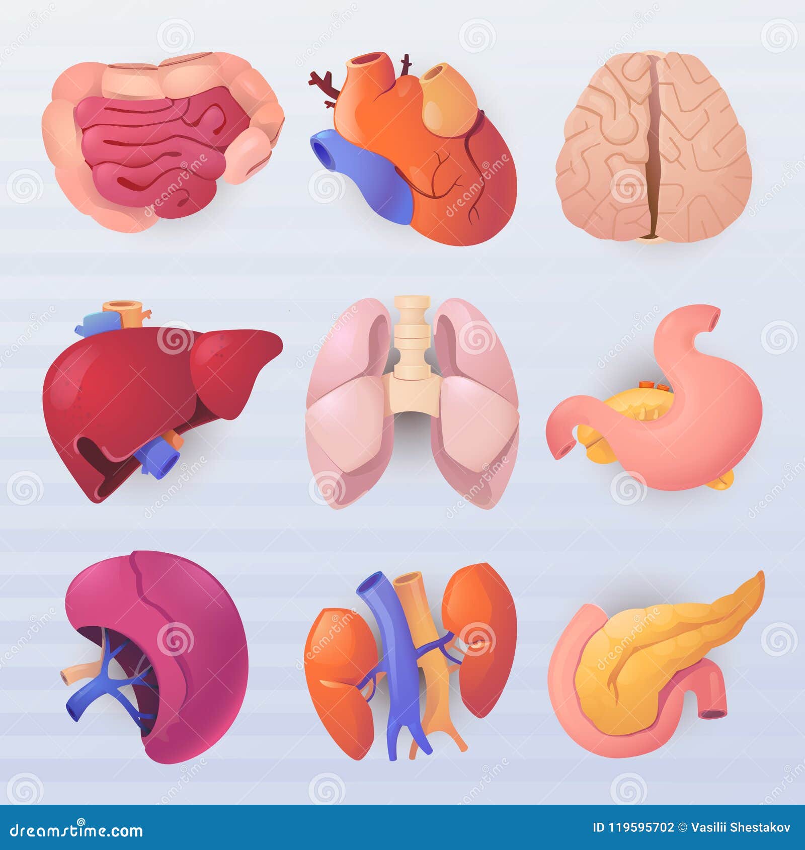 Human organs icons stock illustration. Illustration of stomach - 119595702