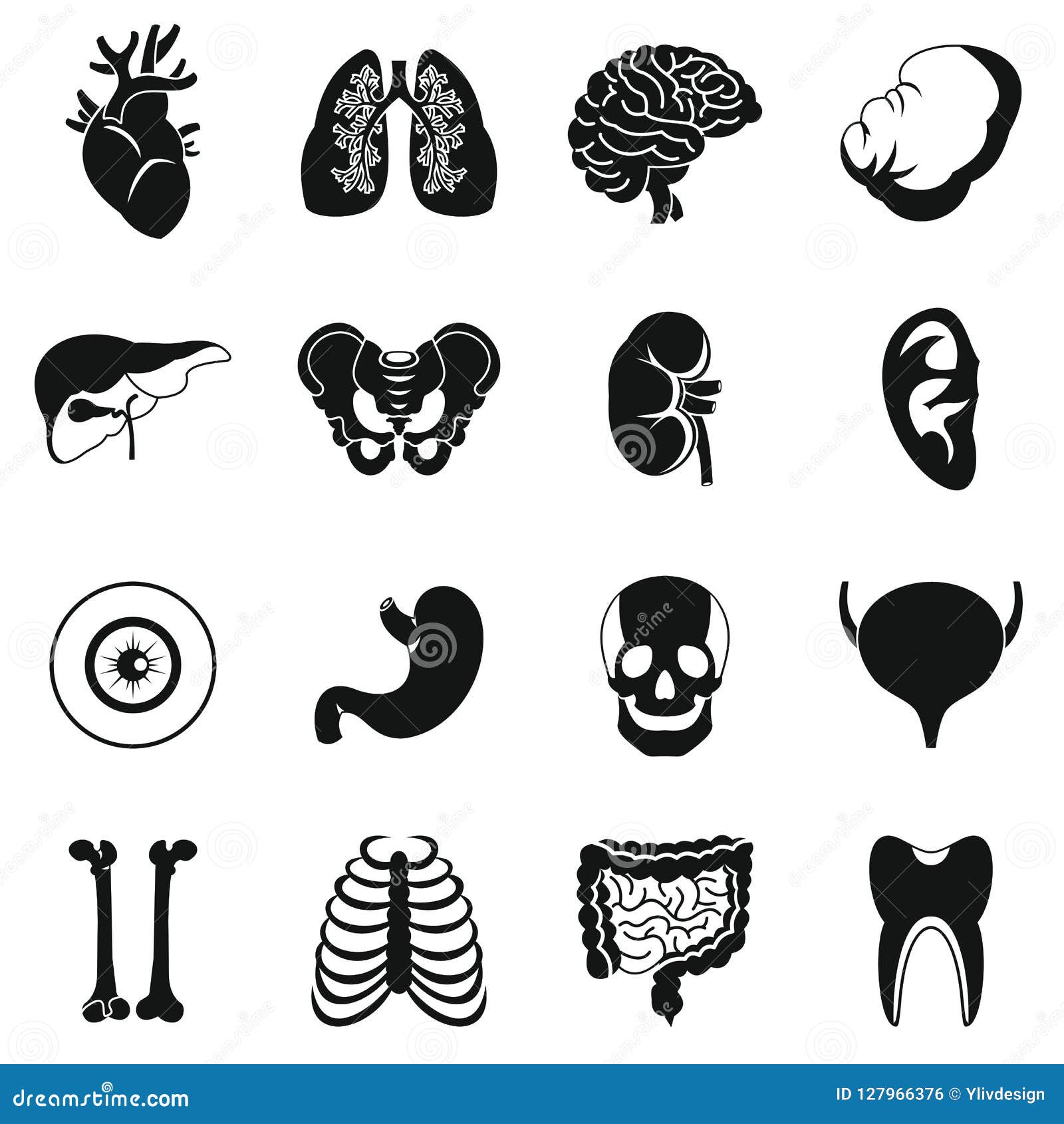 Human Organs Icons Set, Simple Style Stock Illustration - Illustration ... Human Organs Icons Set, Simple Style Stock Illustration - Illustration ...